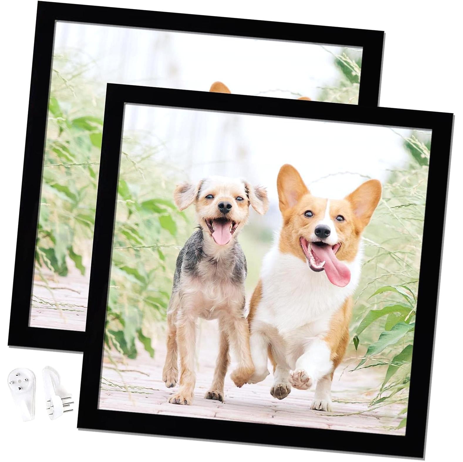 SKYSONIC 16x16 Picture Frame Set of 2, Square Photo Transparent Wall ...