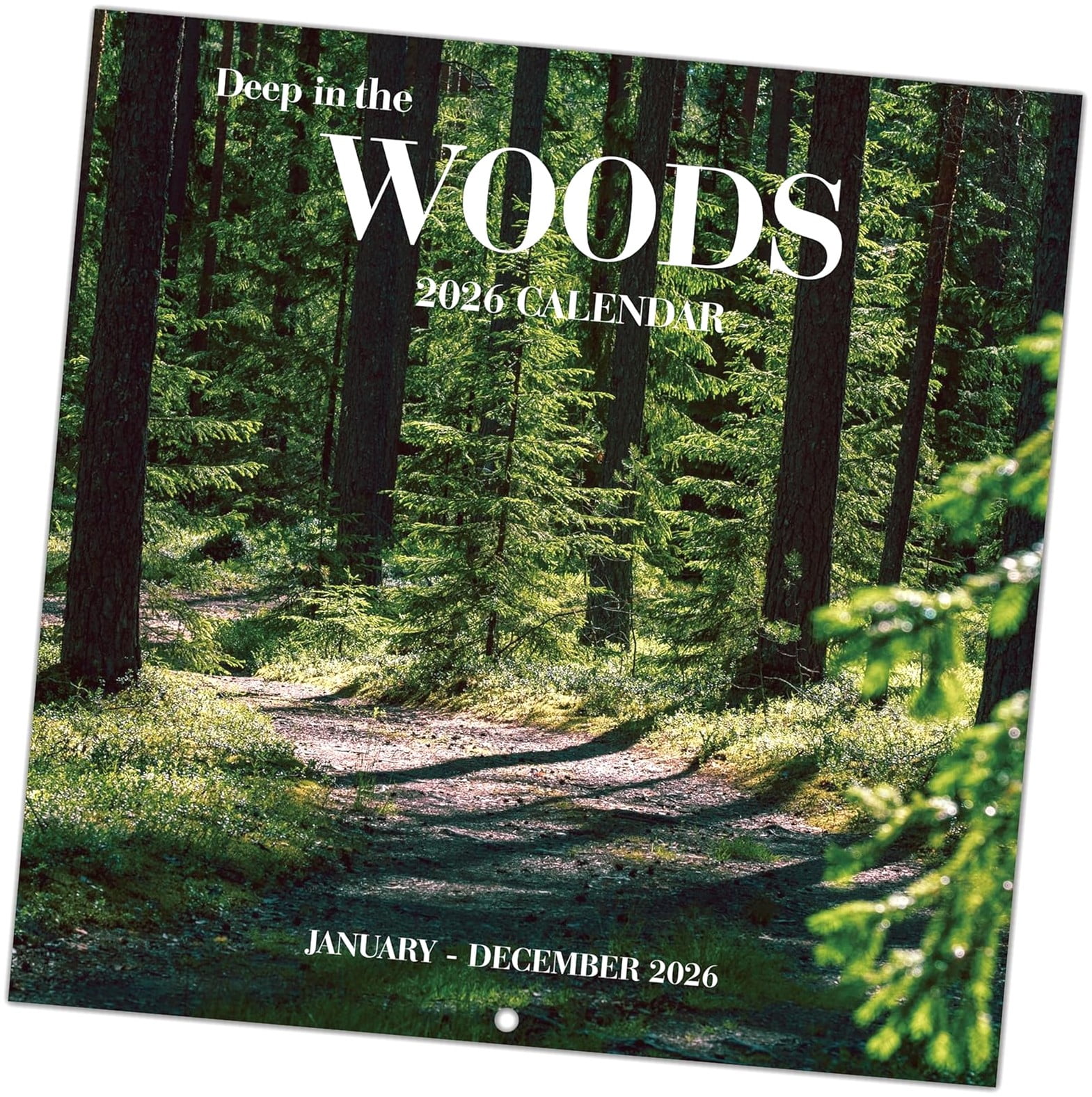 SKYSONIC 2026 Calendar 12 Monthly Square Wall Calendar 2026, January to December 2026, 11.6'' 11 ...