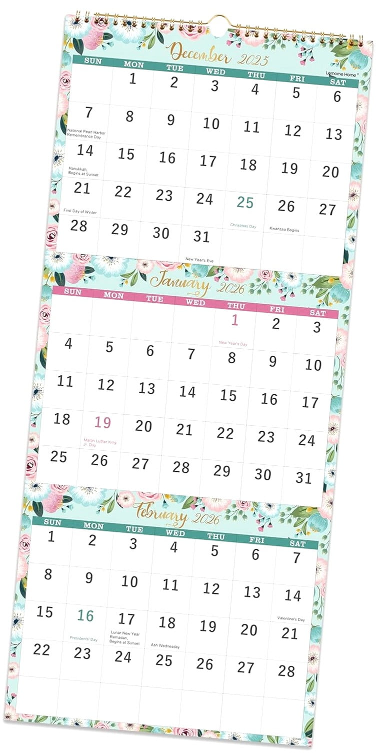 SKYSONIC 2026 Calendar 3 Month Wall Calendar 2026 Display (Folded by ...