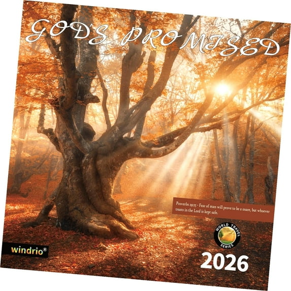 SKYSONIC 2026 Wall Calendar,Calendar 2026, November 2025 December 2026, Wall Calendar Bibble, 12 ...