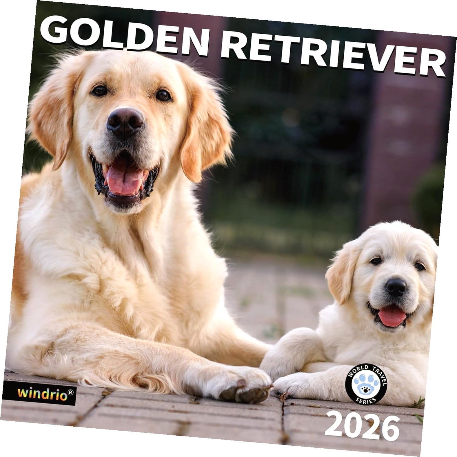 SKYSONIC 2026 Wall Calendar, Calendar 2026, November 2025 to December ...