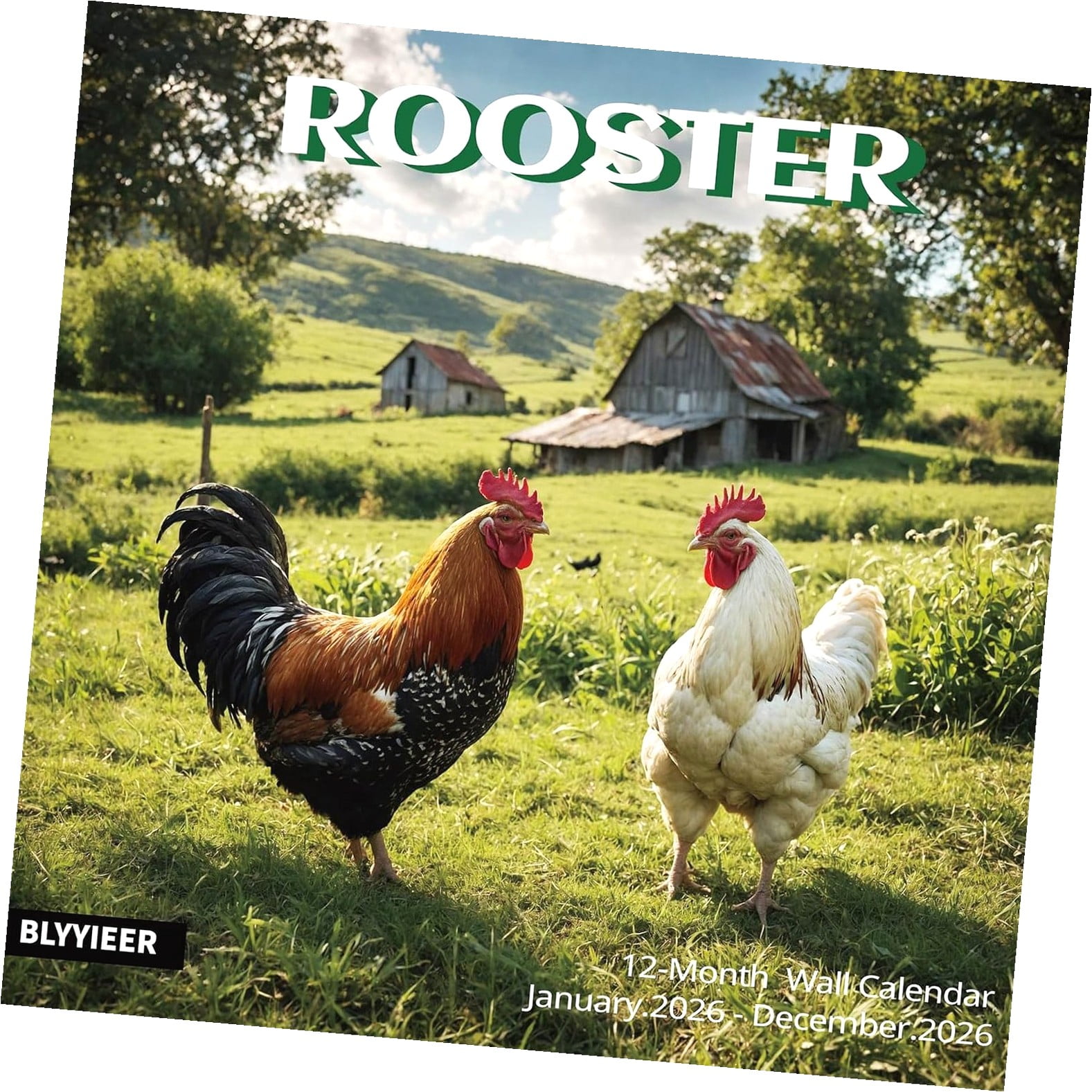 SKYSONIC 2026 Wall Calendar, Calendar 2026, Rooster Monthly Wall ...