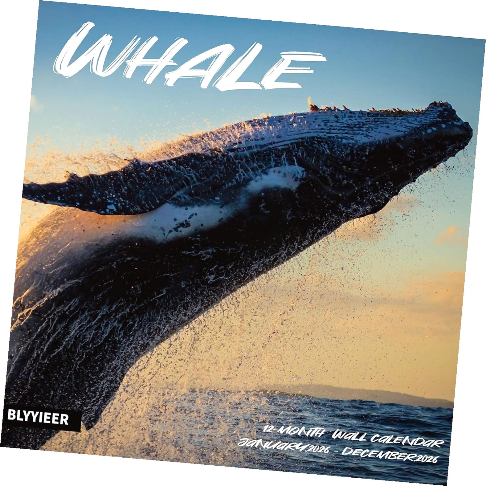 SKYSONIC 2026 Wall Calendar, Whale Theme Monthly Planner, 12" 24" Open ...