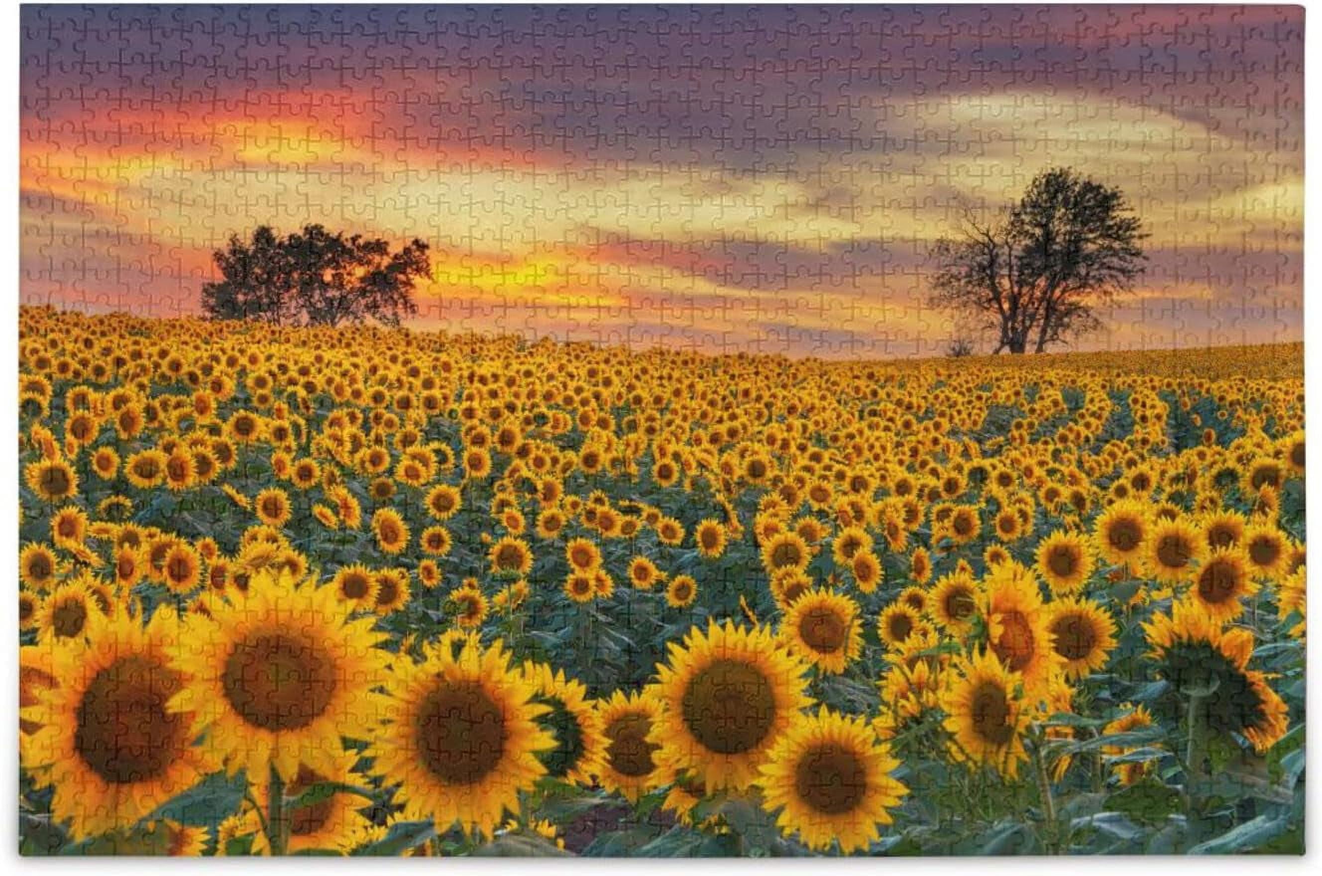 SKYSONIC 500PCS Jigsaw Puzzles Sunflower Adult Children Intellective ...