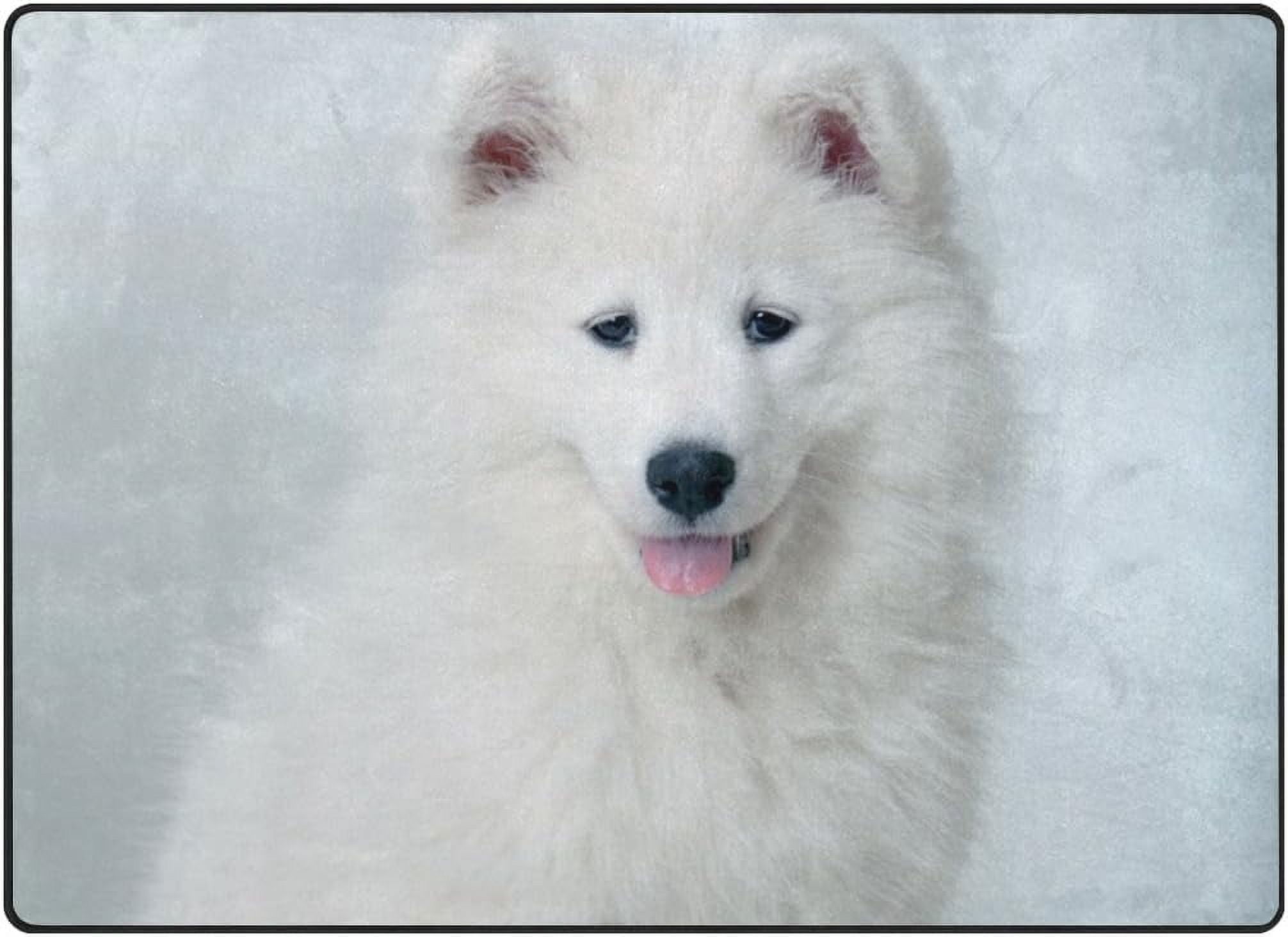 SKYSONIC 80x58 inches Lightweight Soft Area Rug Mat Indoor Floor Rugs ...