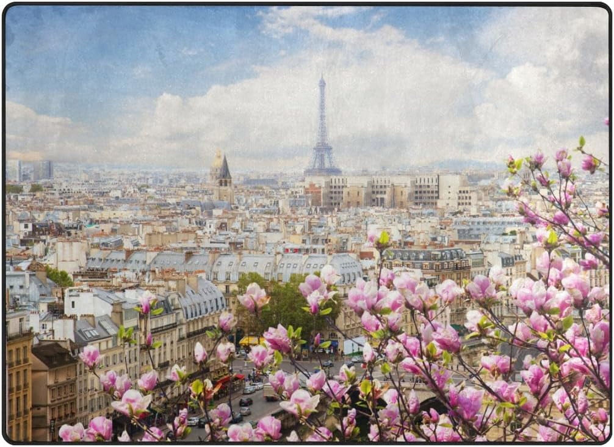 SKYSONIC 80x58 inches Lightweight Soft Area Rug Mat Indoor Floor Rugs ...