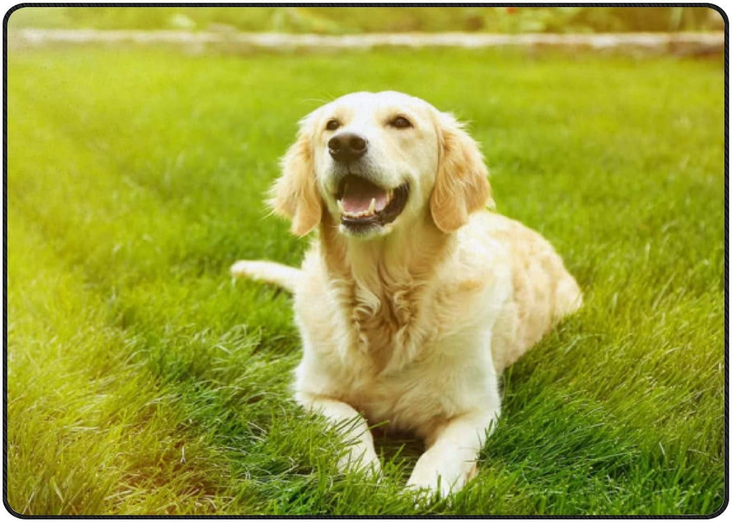 SKYSONIC Area Rug Adorable Golden Retriever on Green Grass Nursery Rug ...