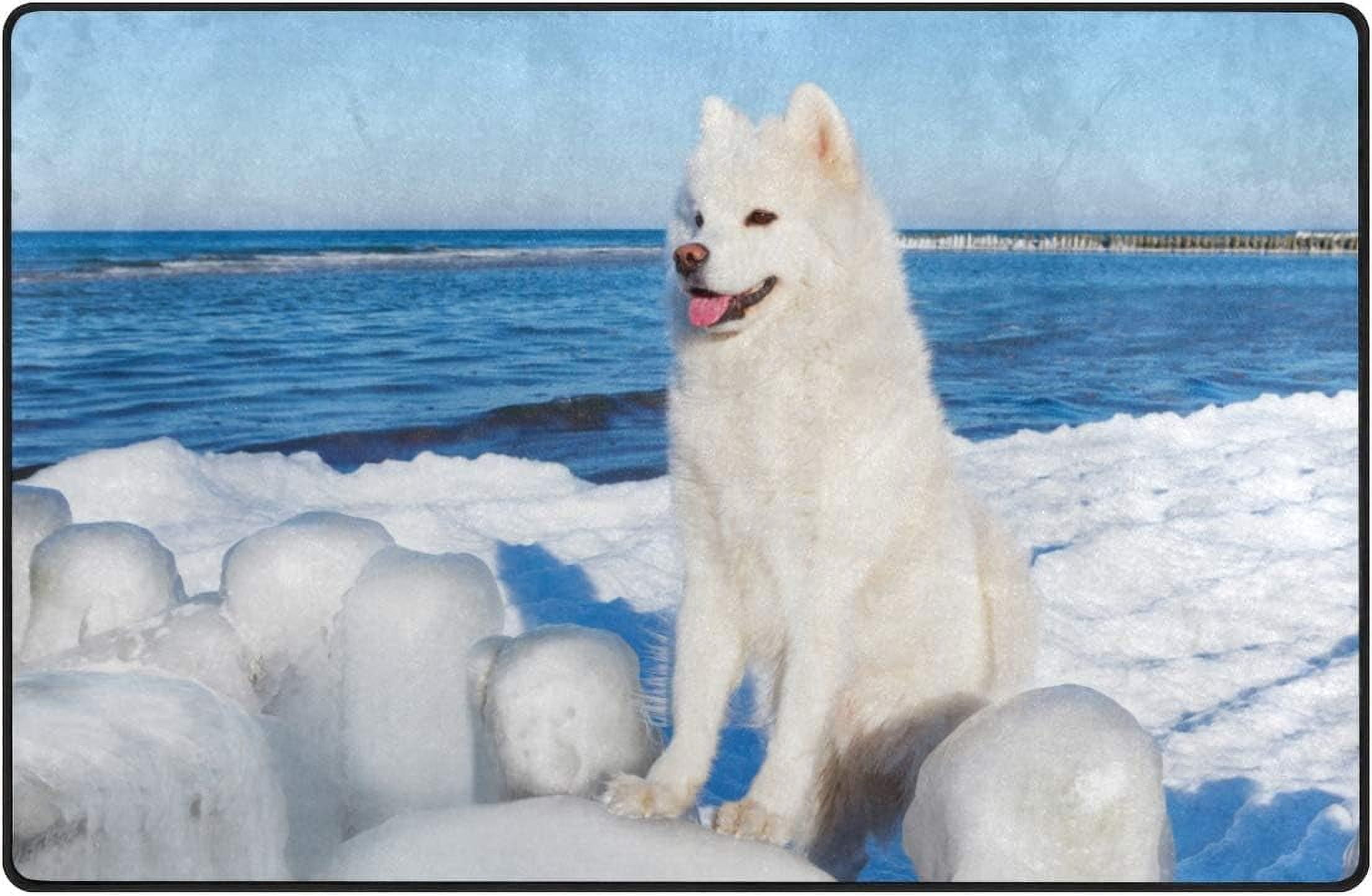SKYSONIC Area Rug Carpet White Samoyed Dog Looking at The Sea Nursery ...