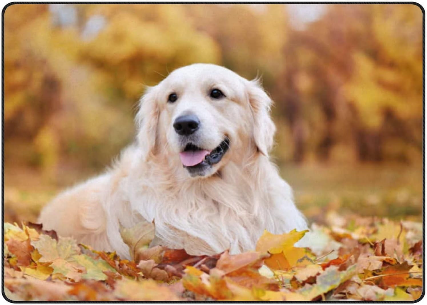 SKYSONIC Area Rug Golden Retriever Laying on Autumn Leafs Nursery Rug ...