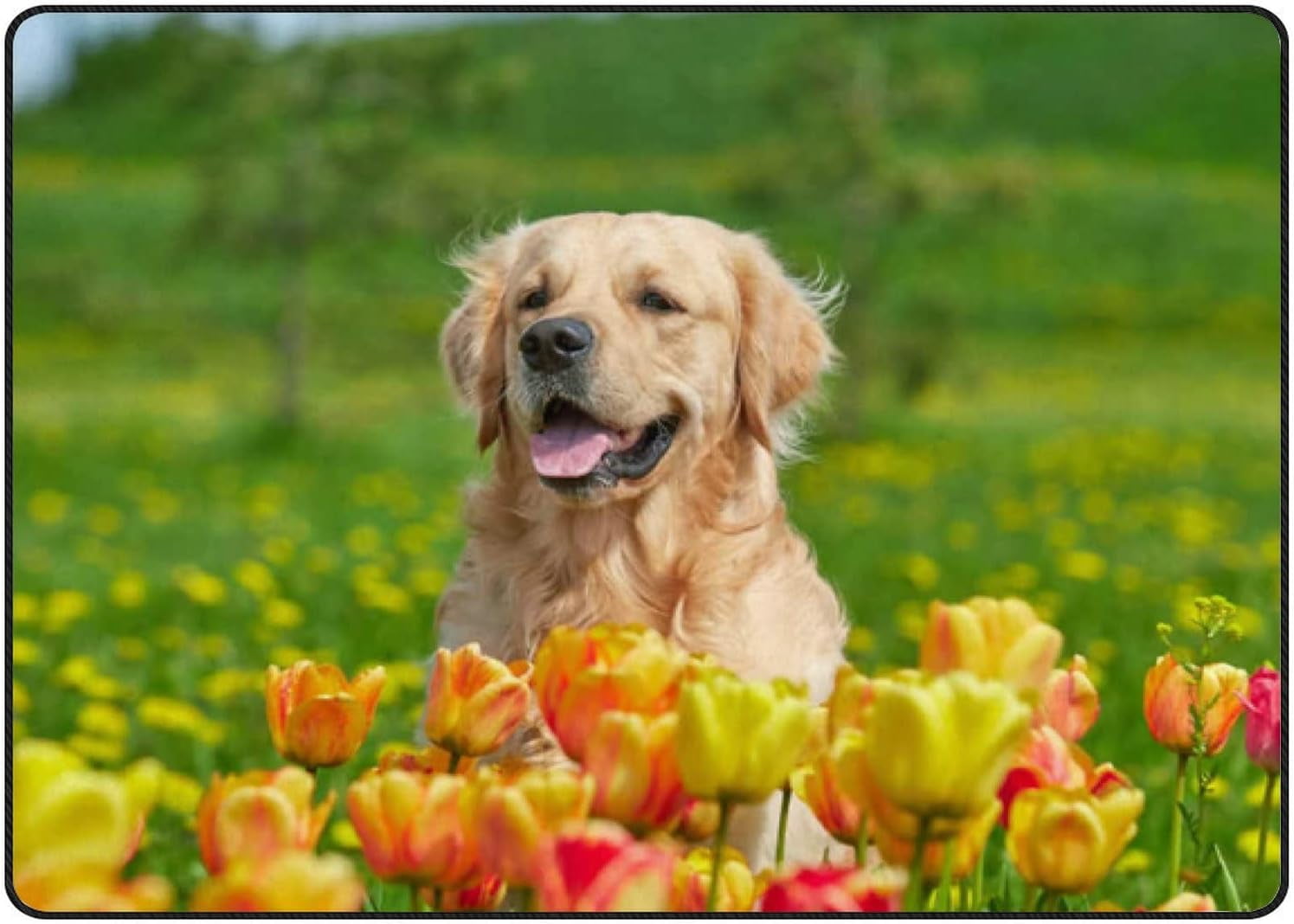 SKYSONIC Area Rug Golden Retriever Sitting in Tulip Flower Fields ...