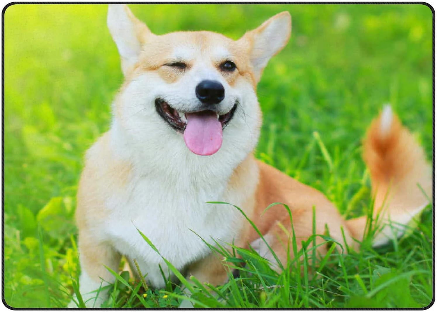 SKYSONIC Area Rug Happy Dog Welsh Corgi Sitting in Sunny Day Nursery ...