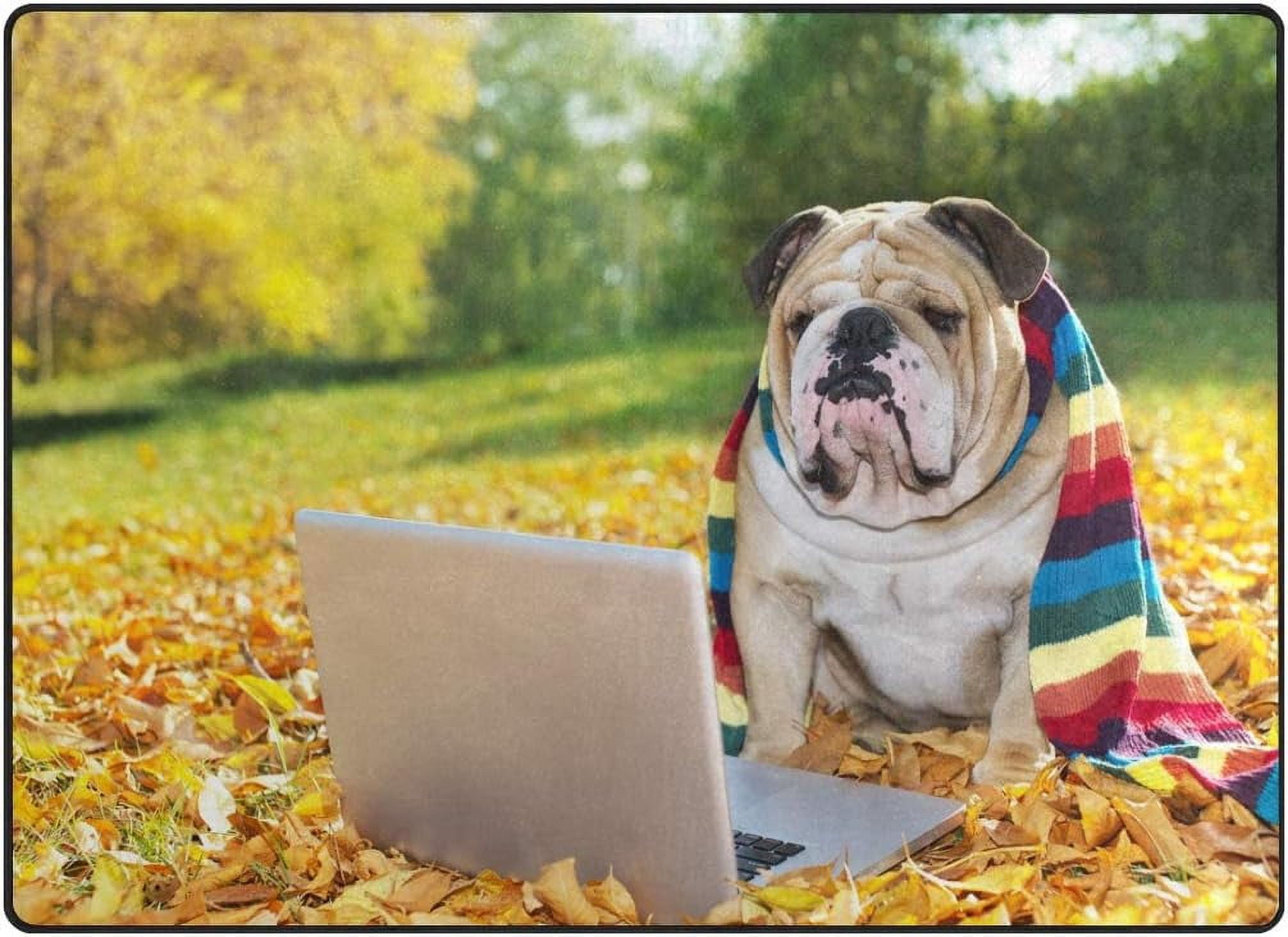 SKYSONIC Area Rug Pad Bulldog with Computer Nursery Rugs Floor Mat for ...