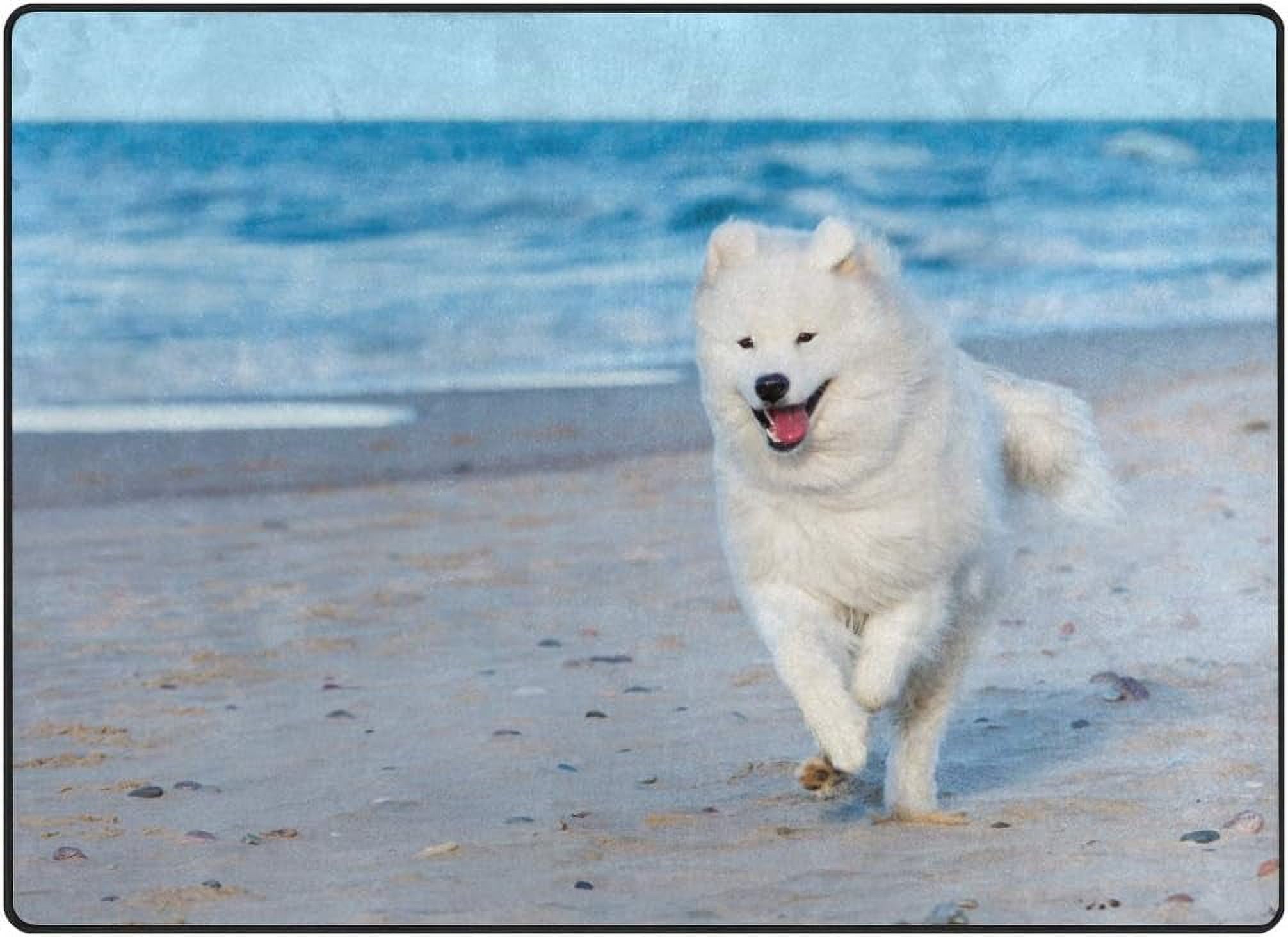 SKYSONIC Area Rug Pad Happy Running Dog Nursery Rugs Floor Mat for Kids ...