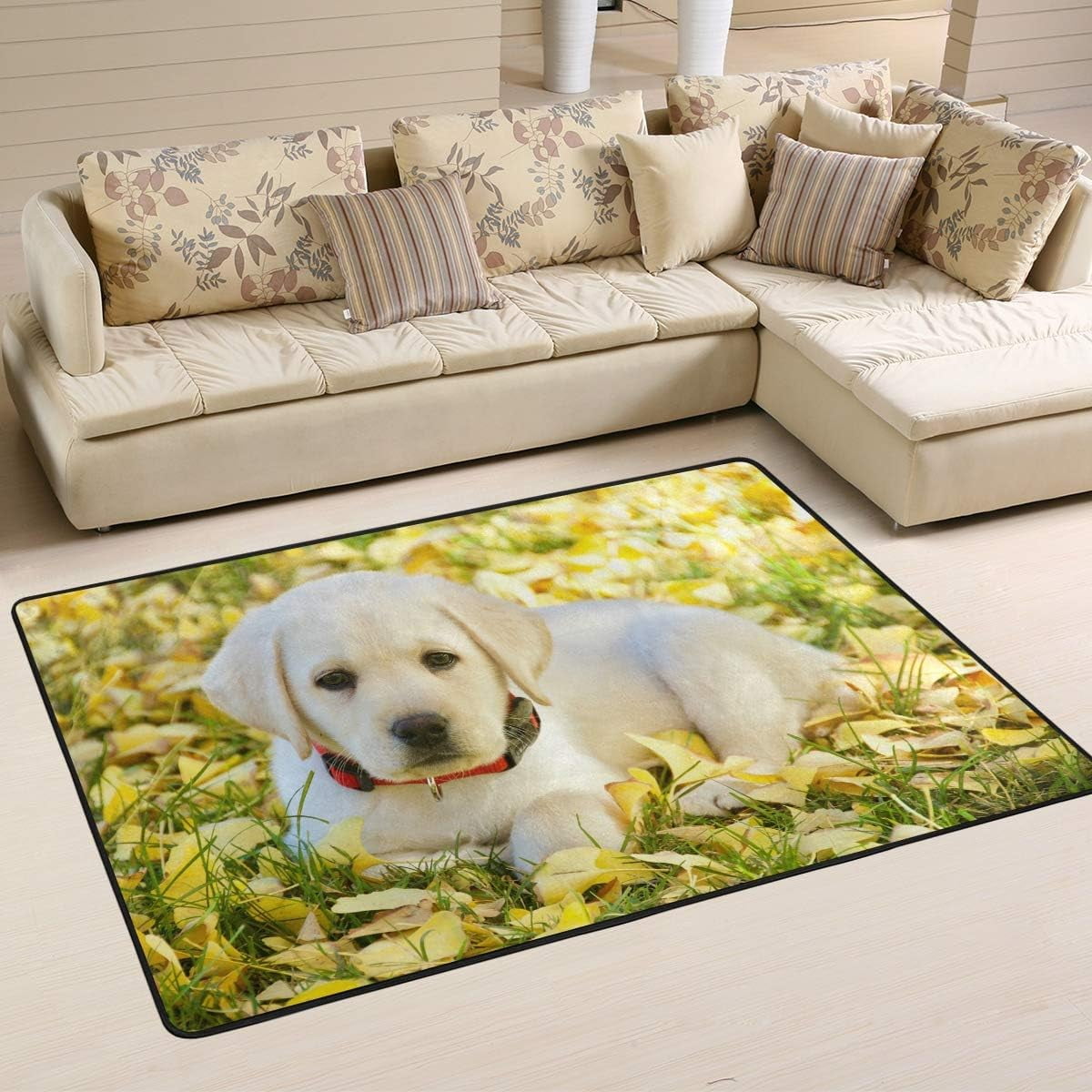 SKYSONIC Area Rug Pad Labrador Retriever with Red Collar Nursery Rugs ...