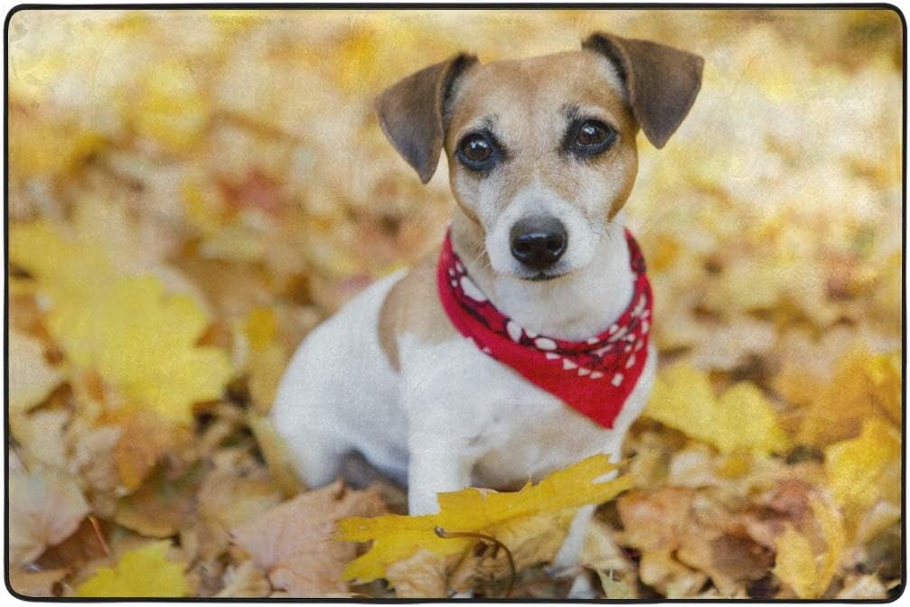 SKYSONIC Area Rug Pad Stylish Dog with Red Bandanna Nursery Rugs Floor ...