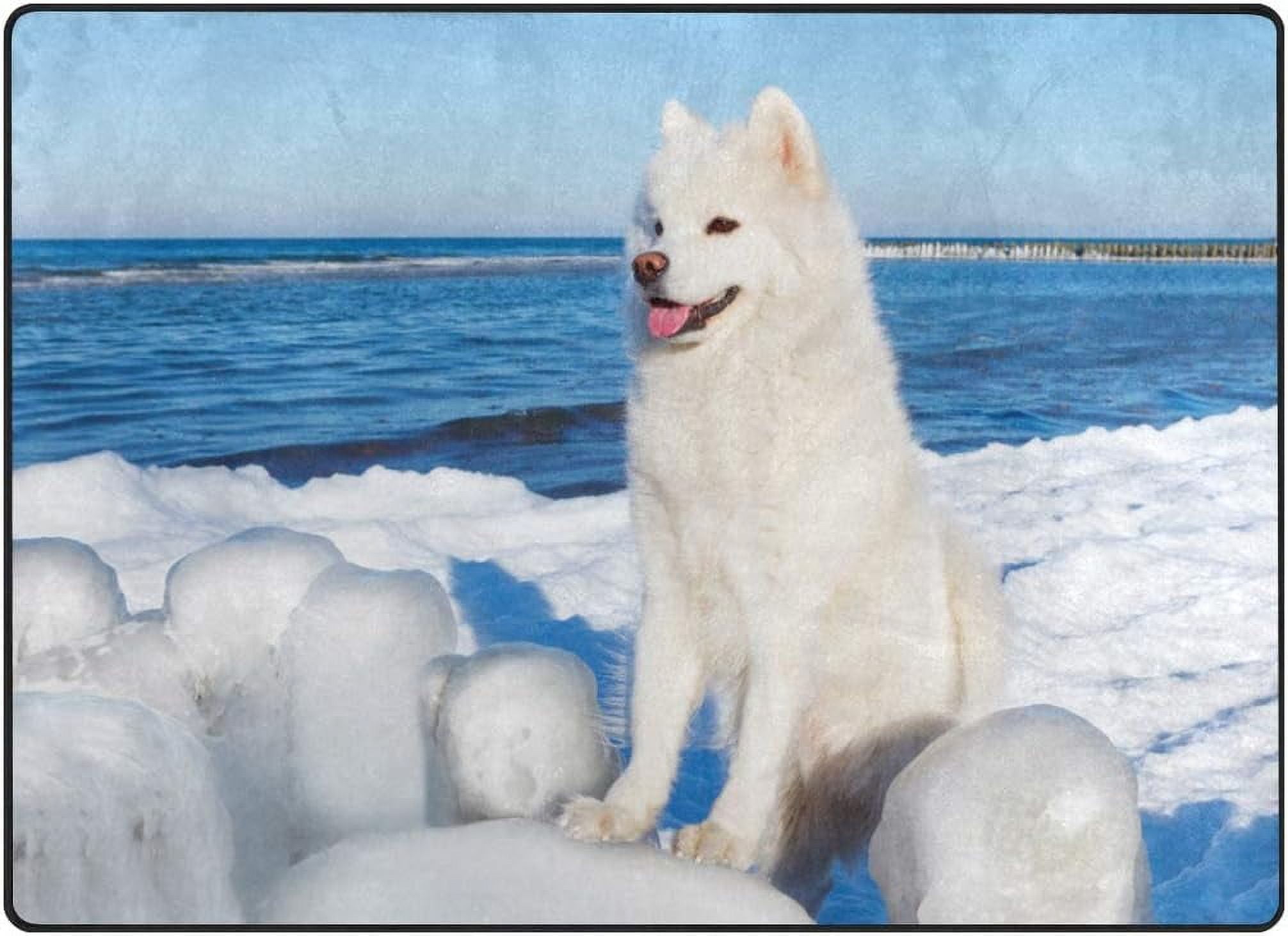 SKYSONIC Area Rug Pad White Samoyed Dog Looking at The Sea Nursery Rugs ...