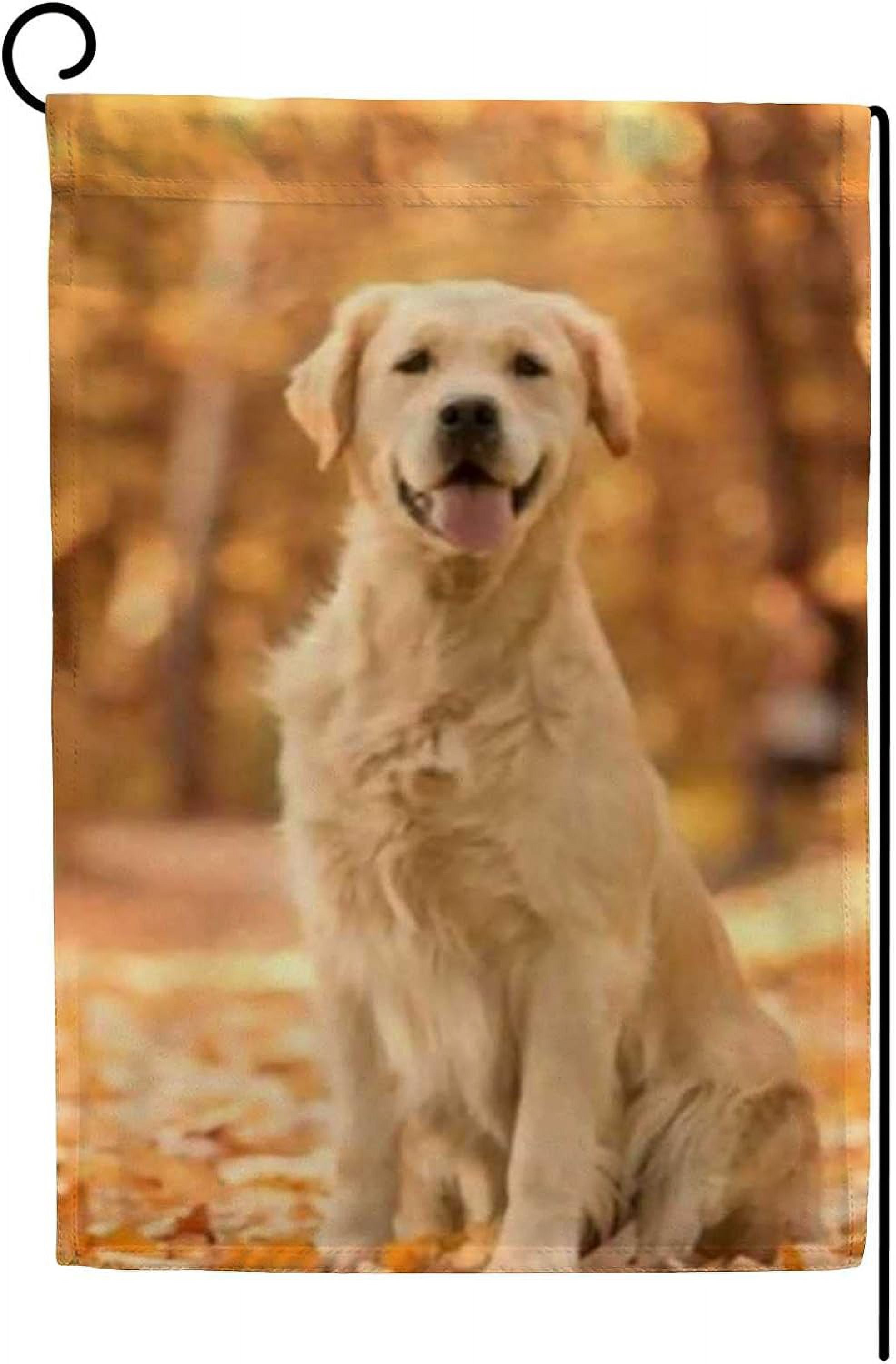 SKYSONIC Beauty Golden Retriever Dog Relaxing Double Side Print Garden ...
