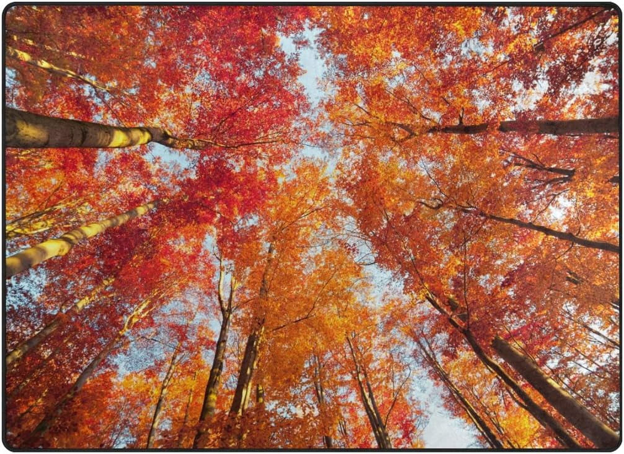 SKYSONIC Bottom View of Autumn Forest Area Rug Pad - 80x58 inch - 100% ...