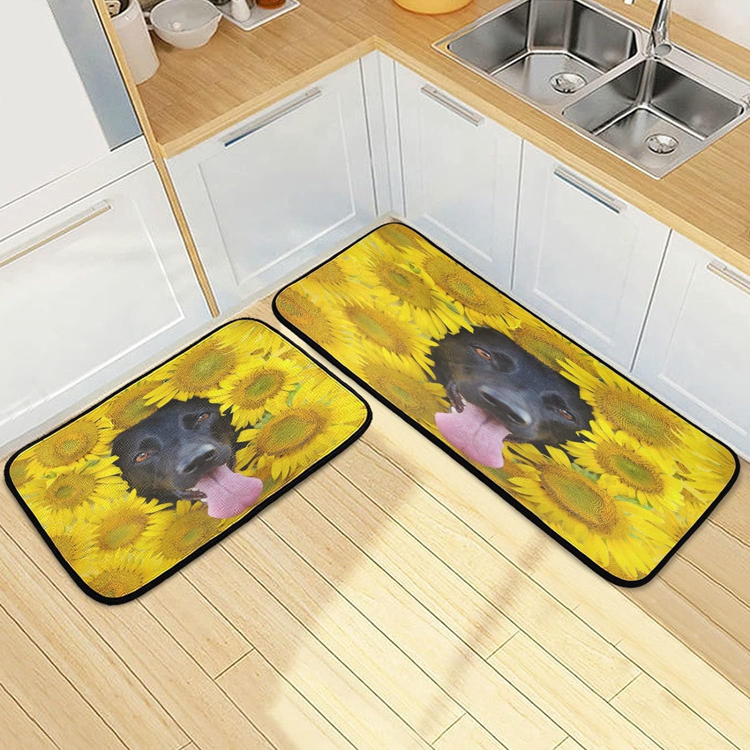 SKYSONIC Close-up Portrait of A Black Shepherd in The Frame of ...