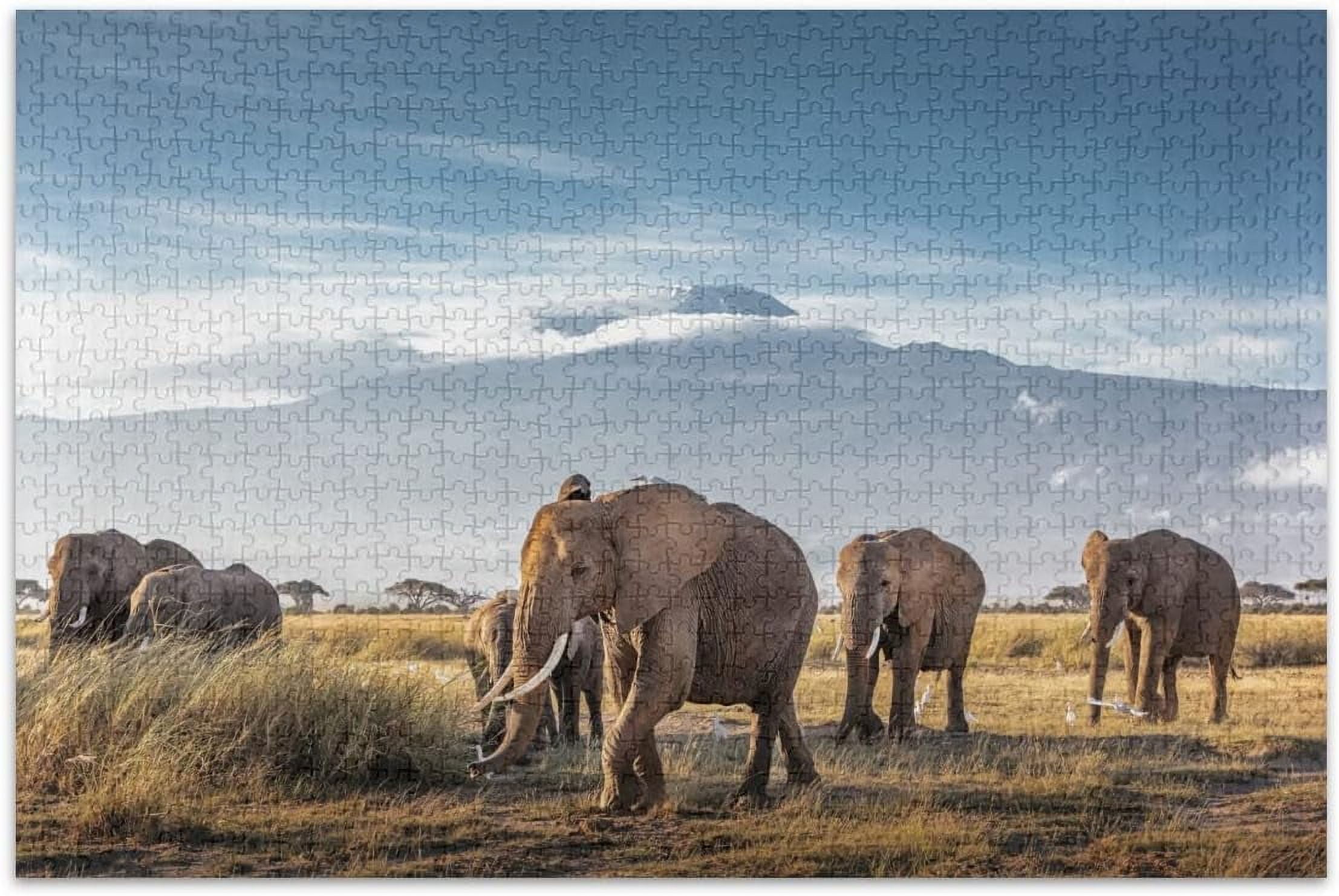 SKYSONIC Elephant Jigsaw Puzzles 500 Piece for Adults Large Puzzle Game ...