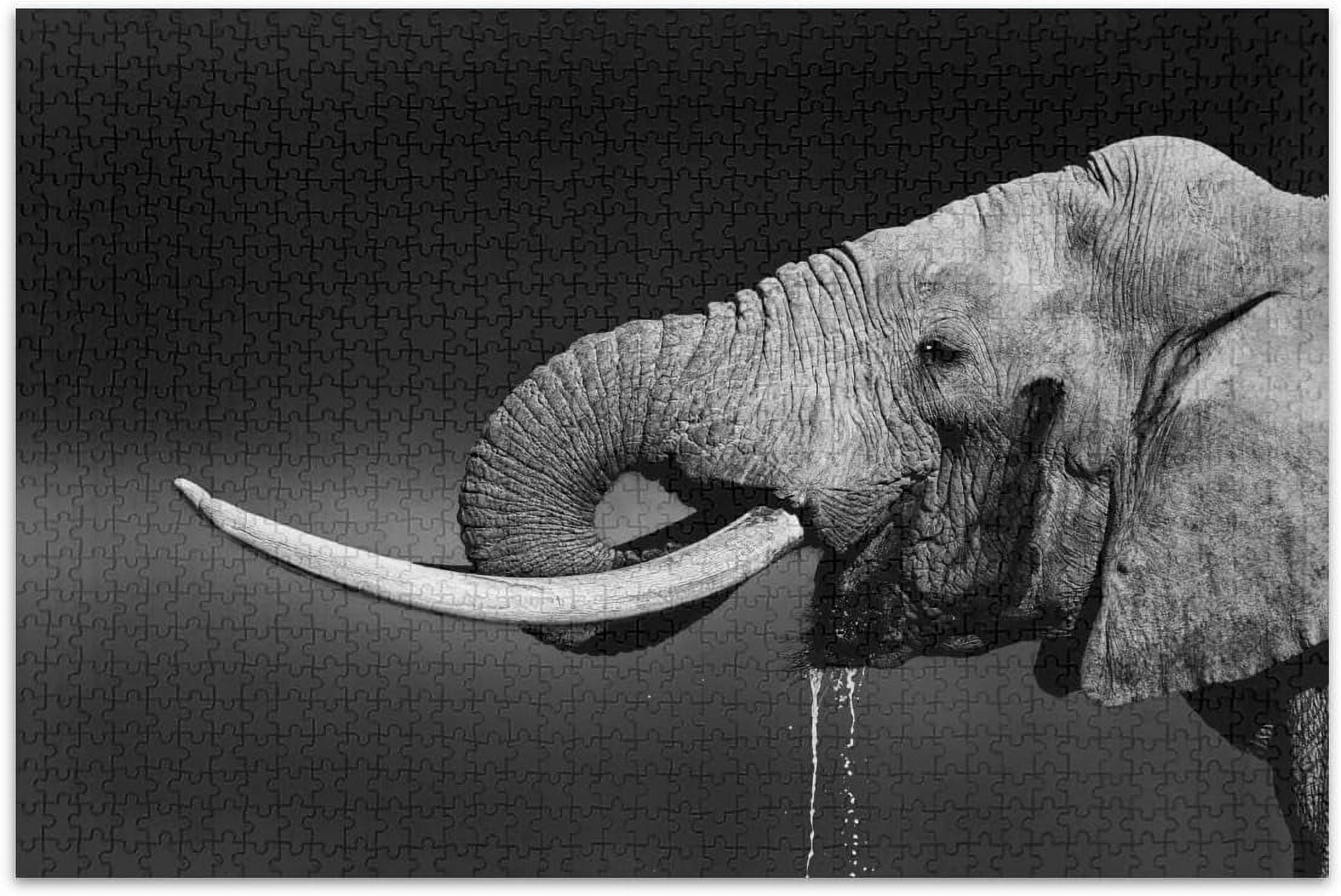 SKYSONIC Elephant Jigsaw Puzzles 500 Piece for Adults Large Puzzle Game ...