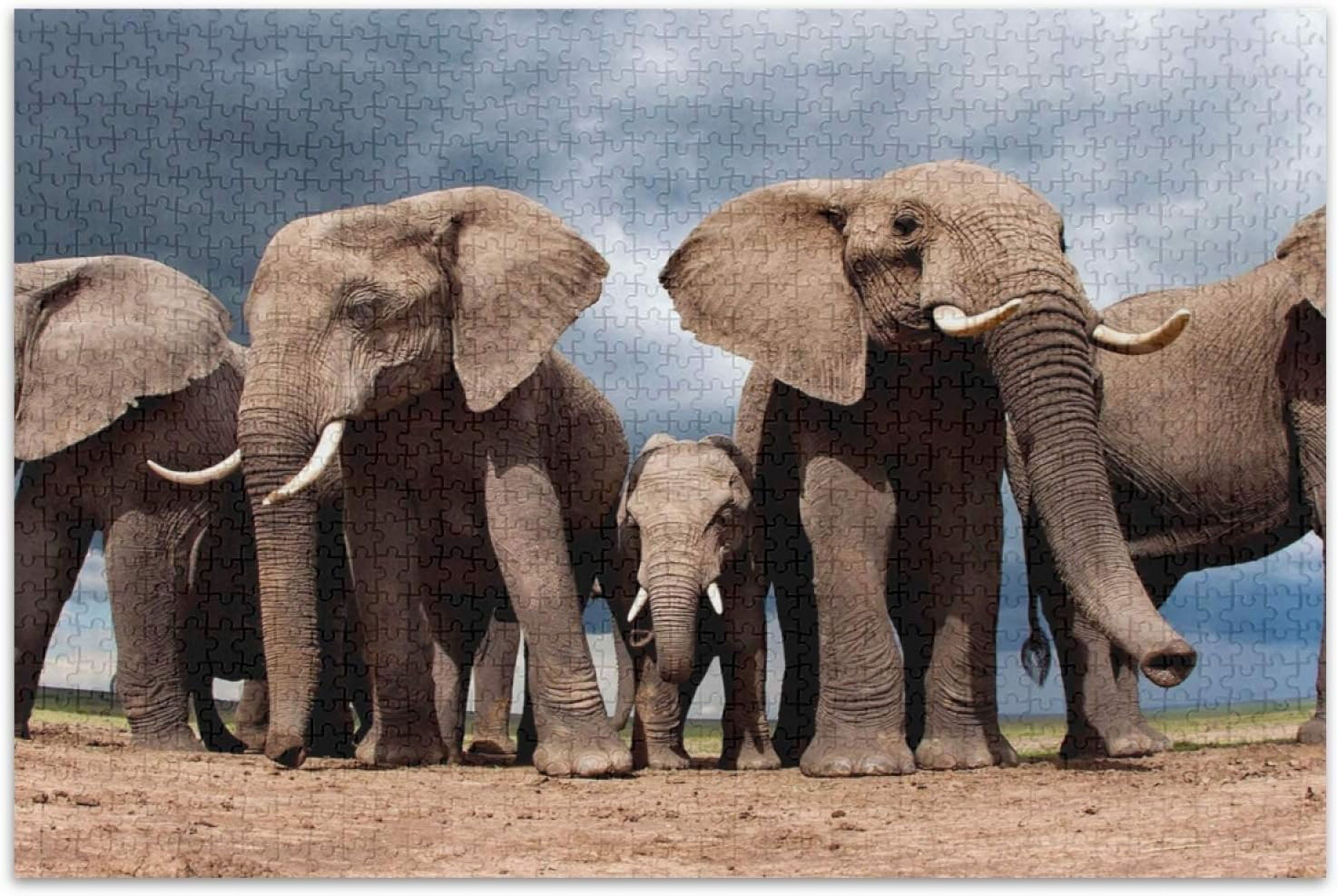 SKYSONIC Elephant Jigsaw Puzzles 500PCS Paper Puzzle Artwork Family Toy ...