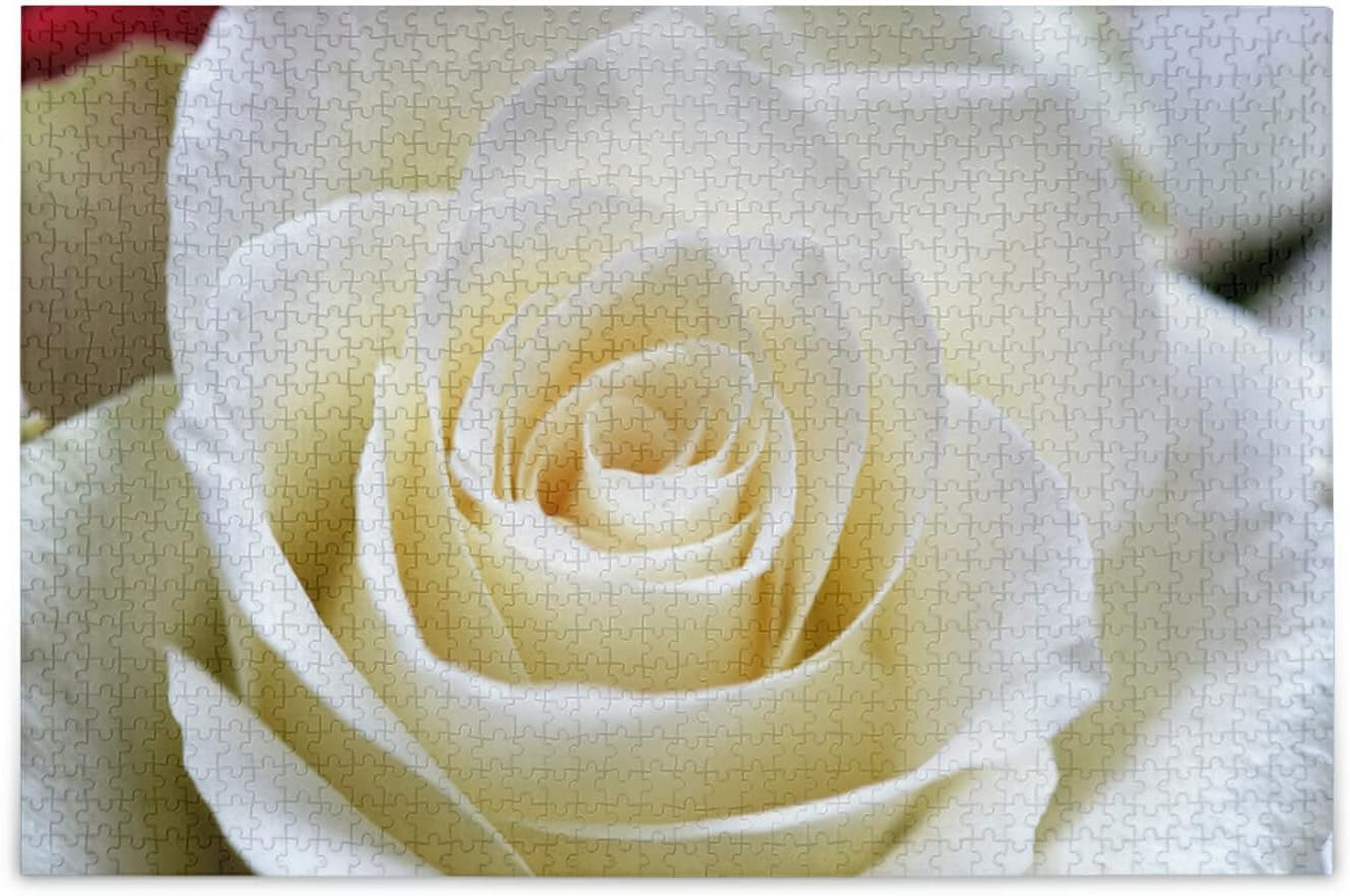 SKYSONIC Floral White Rose Jigsaw Puzzles for Adults 500 Piece ...