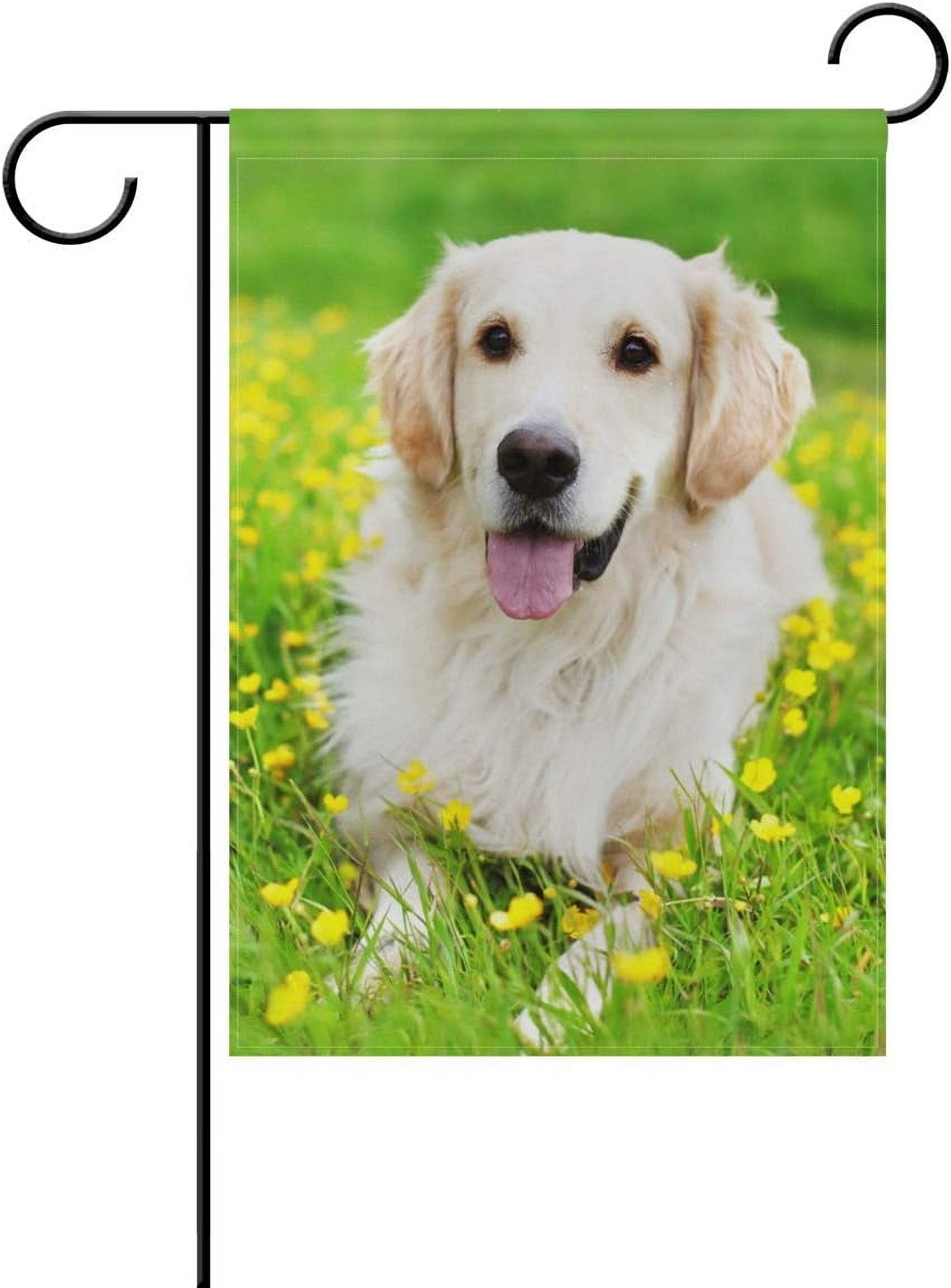 SKYSONIC Garden Flag Beautiful Golden Retriever Dog Double-Sided ...