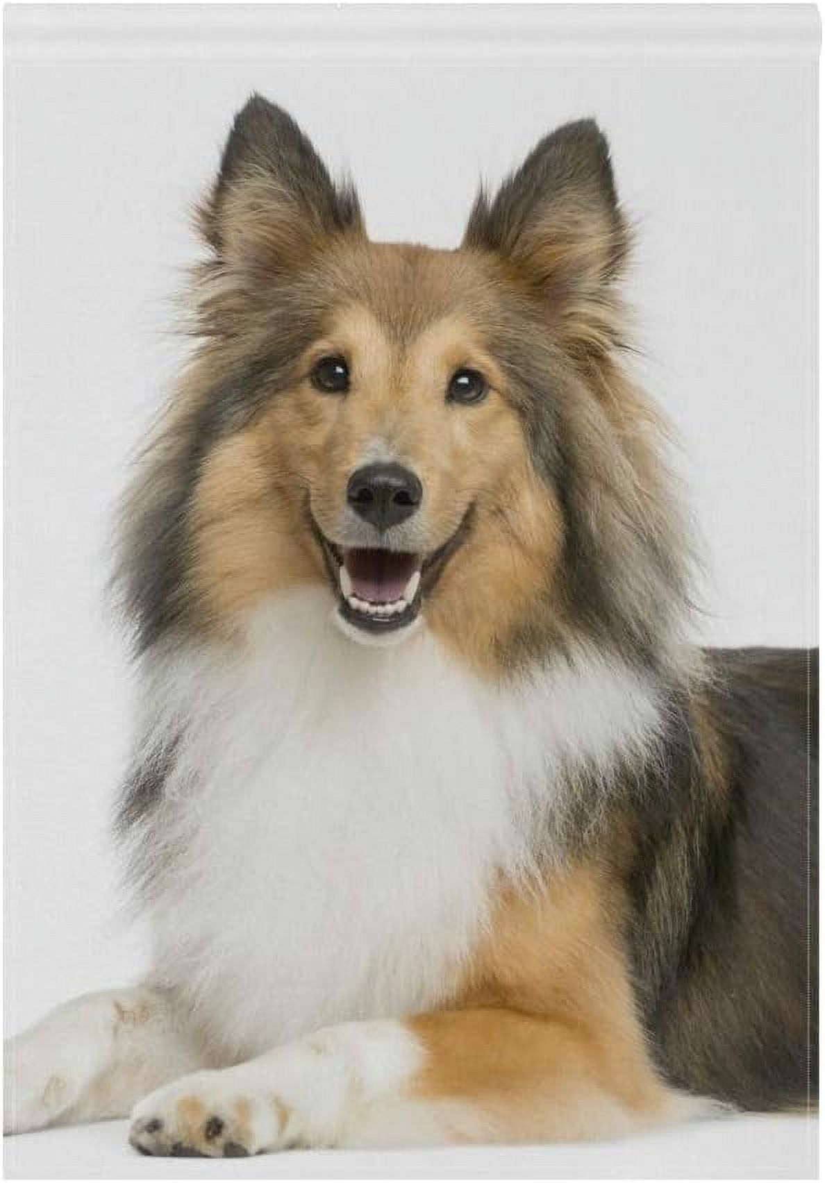 SKYSONIC Garden Flag Shetland Sheepdog Lying Double-Sided Printed House ...