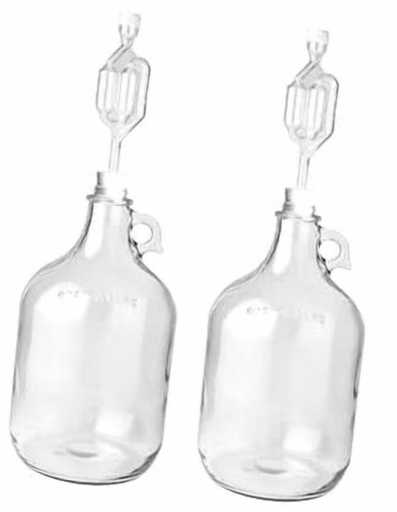 SKYSONIC Glass Fermenter Includes Airlock, 1 gallon Capacity ...