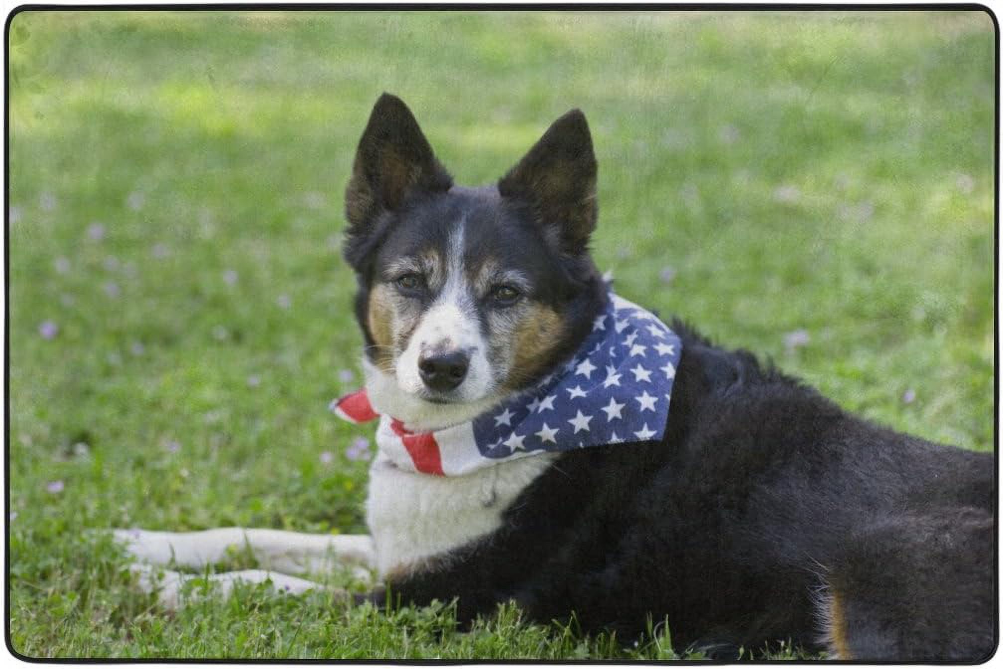 SKYSONIC Lightweight Carpet Mats Area Soft Rugs Floor Mat Doormat Decoration for Rooms Entrance ...