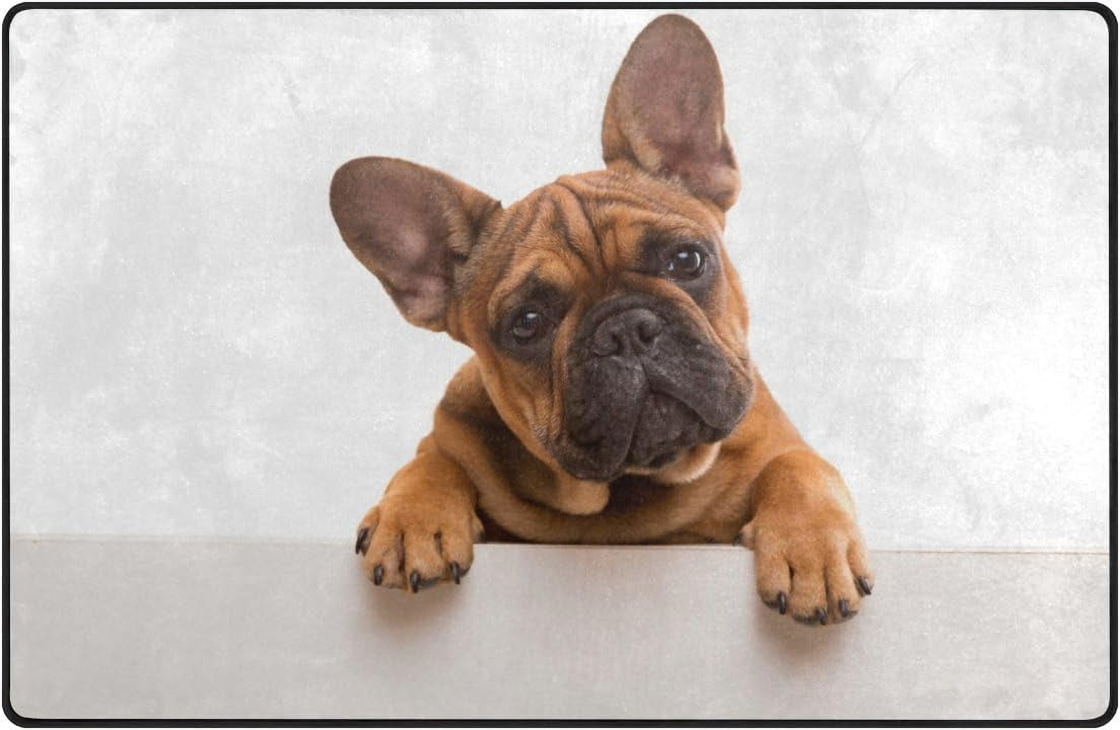 SKYSONIC Lightweight Non Slip Carpet Mats Area Soft Rugs Floor Mat Rug ...