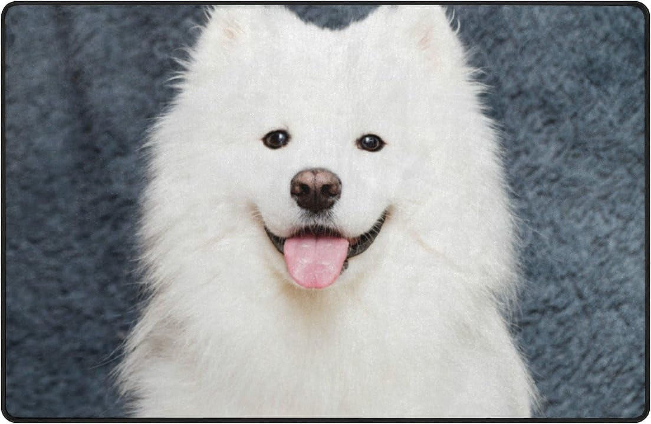 SKYSONIC Lightweight Non Slip Carpet Mats Area Soft Rugs Floor Mat Rug ...