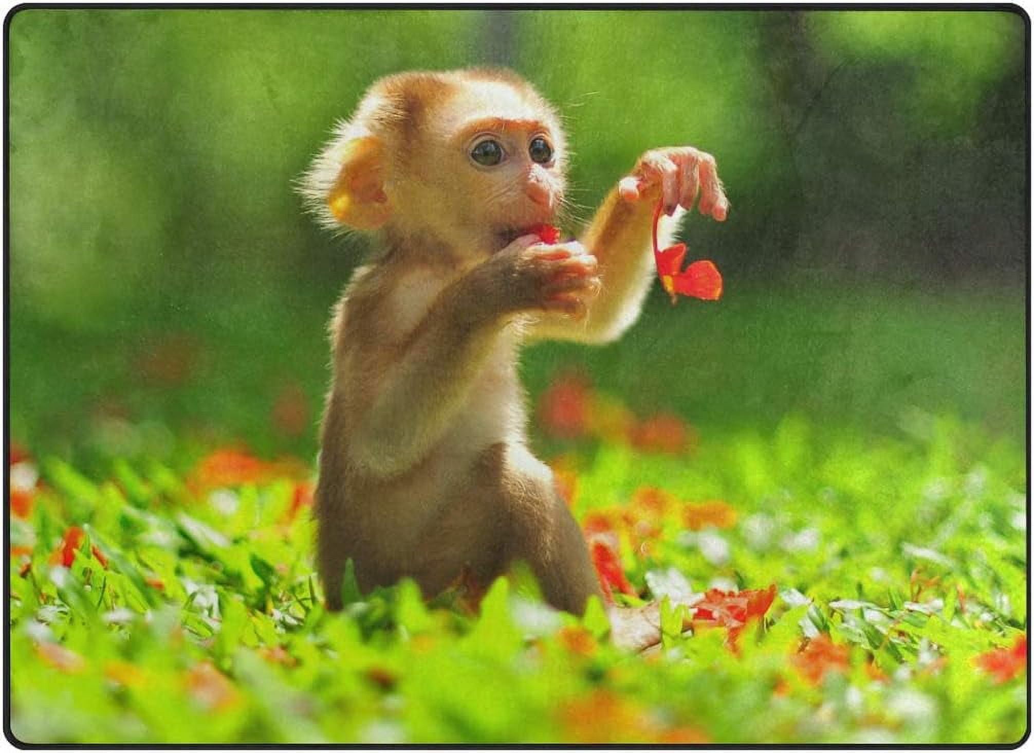 SKYSONIC Lightweight Soft Area Rugs Baby Monkey Playing Flower Floor ...