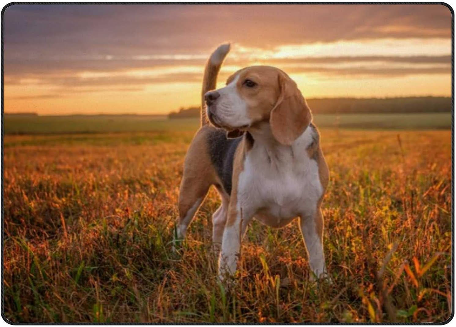 SKYSONIC Lightweight Soft Area Rugs Beagle Dog On The Beautiful Sunset ...