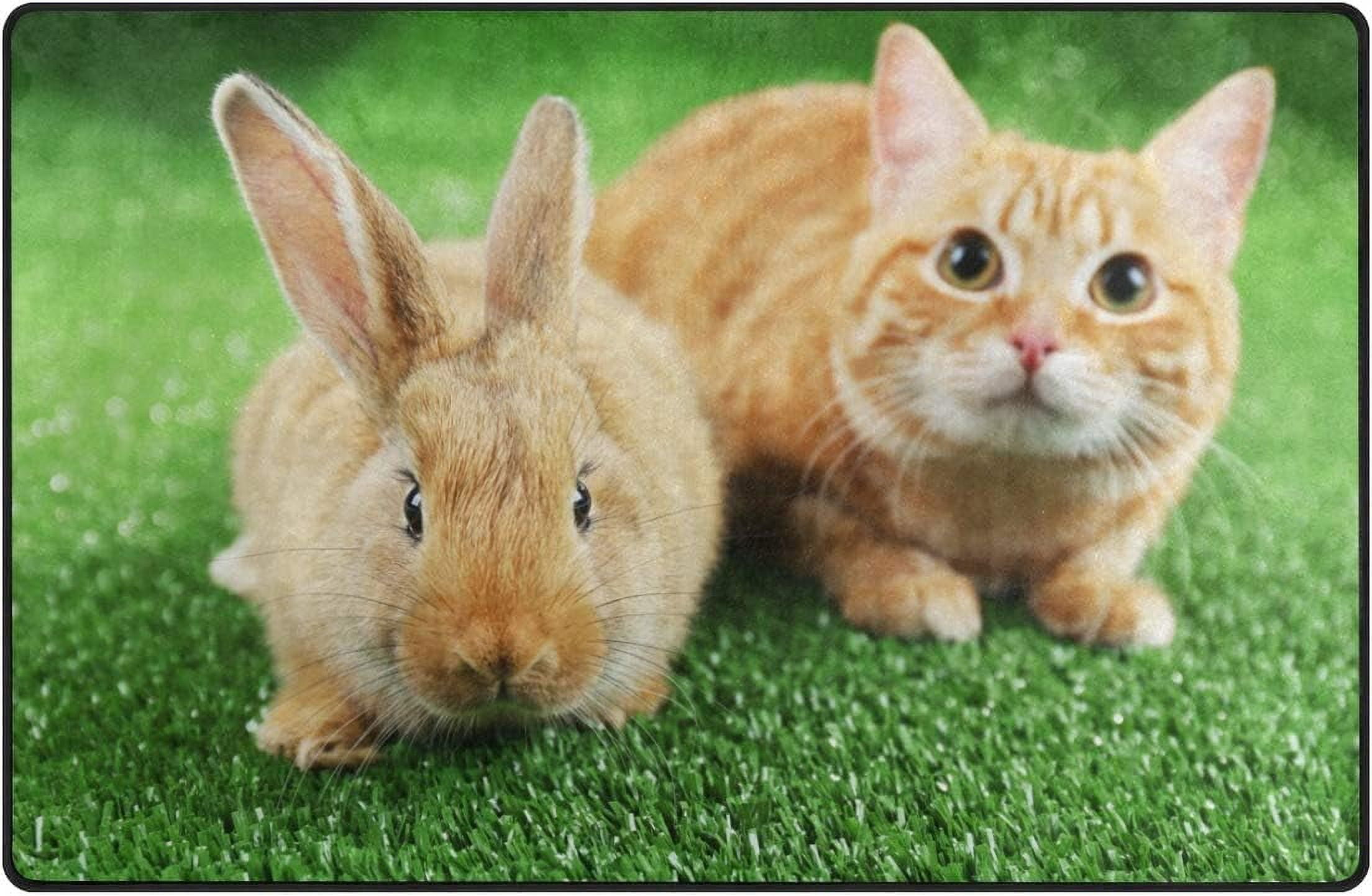 SKYSONIC Lightweight Soft Area Rugs Cat and Rabbit On Green Grass Floor ...