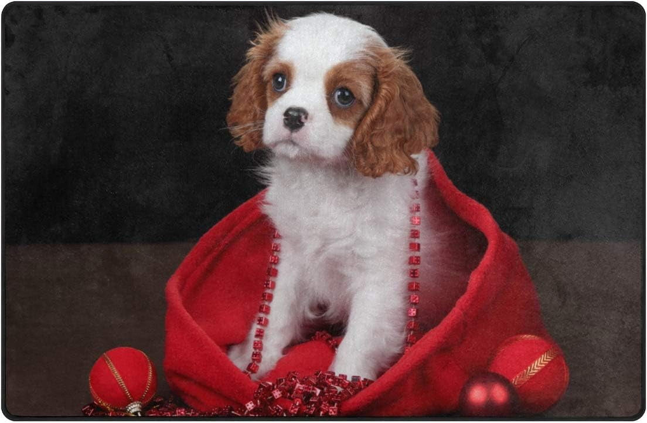 SKYSONIC Lightweight Soft Area Rugs Cute Puppy in A Bag Floor Mat for ...