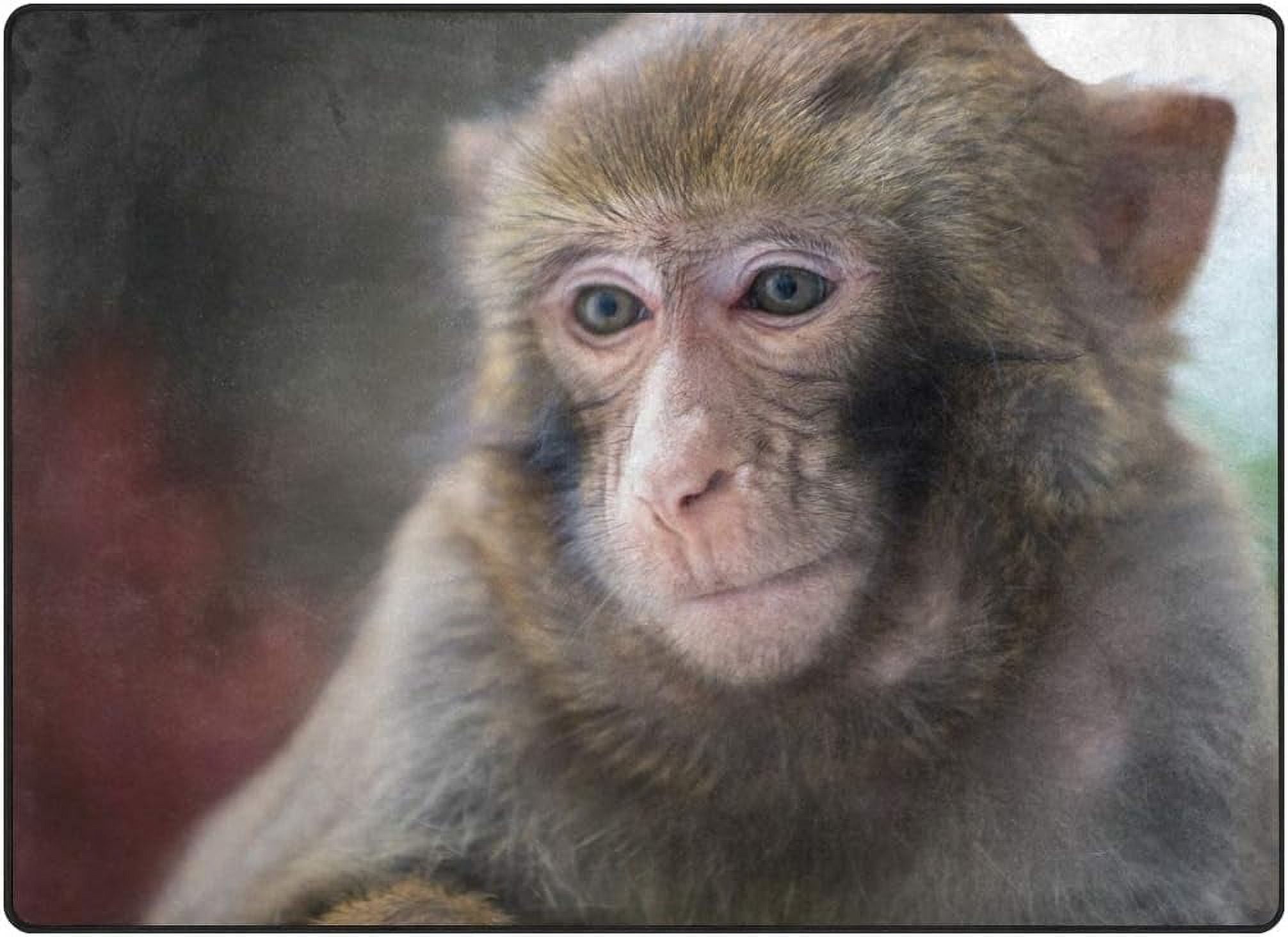 SKYSONIC Lightweight Soft Area Rugs Cute Wild Monkey Floor Mat for Kids ...