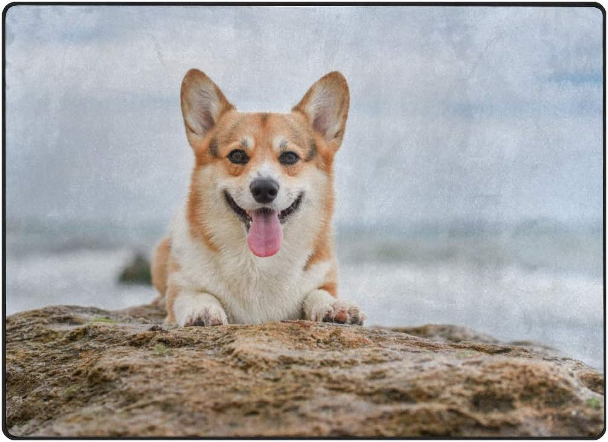 SKYSONIC Lightweight Soft Area Rugs Dog On The Rock Floor Mat for Kids ...