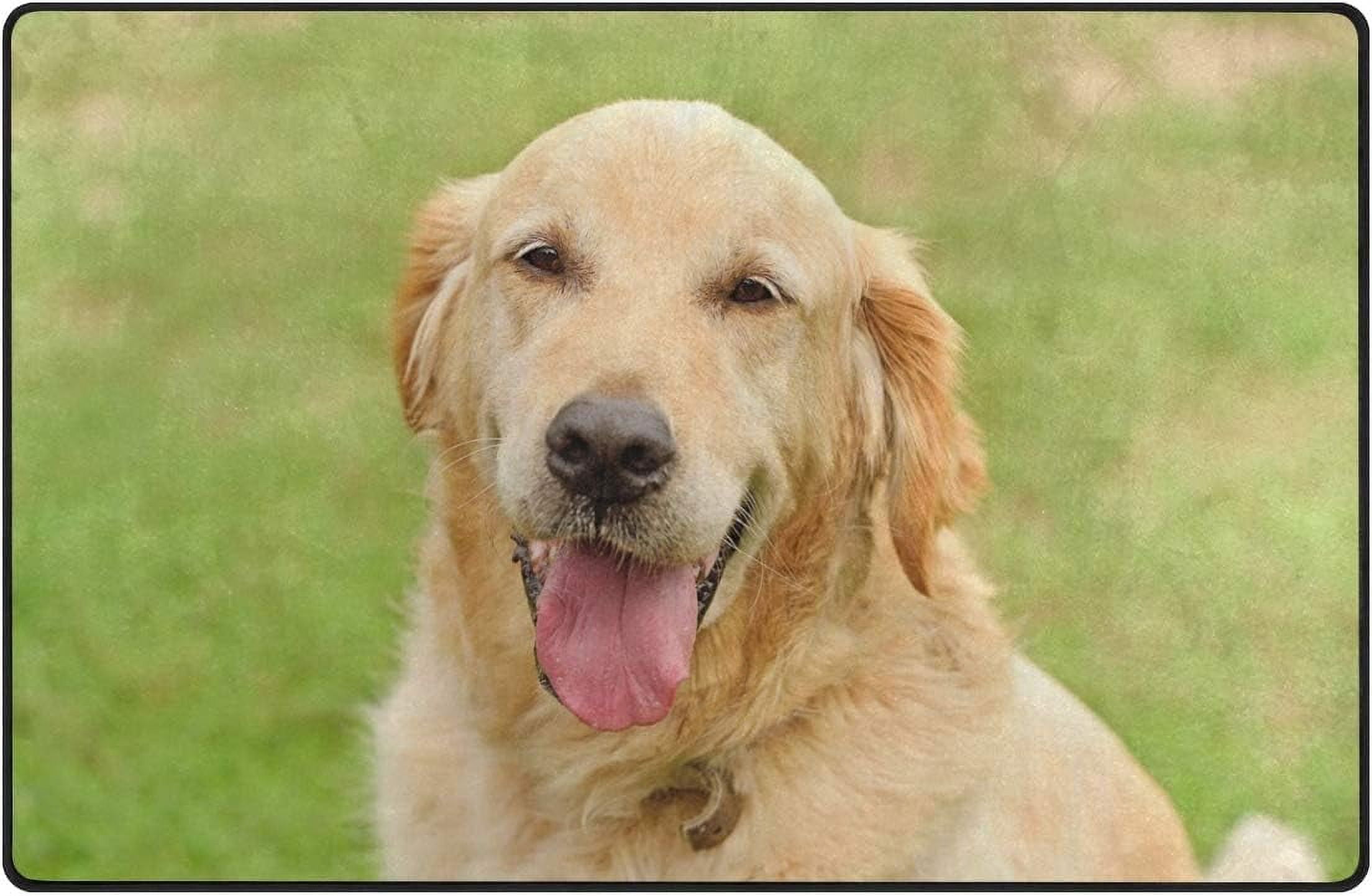 SKYSONIC Lightweight Soft Area Rugs Golden Retriever Dog in The Park ...