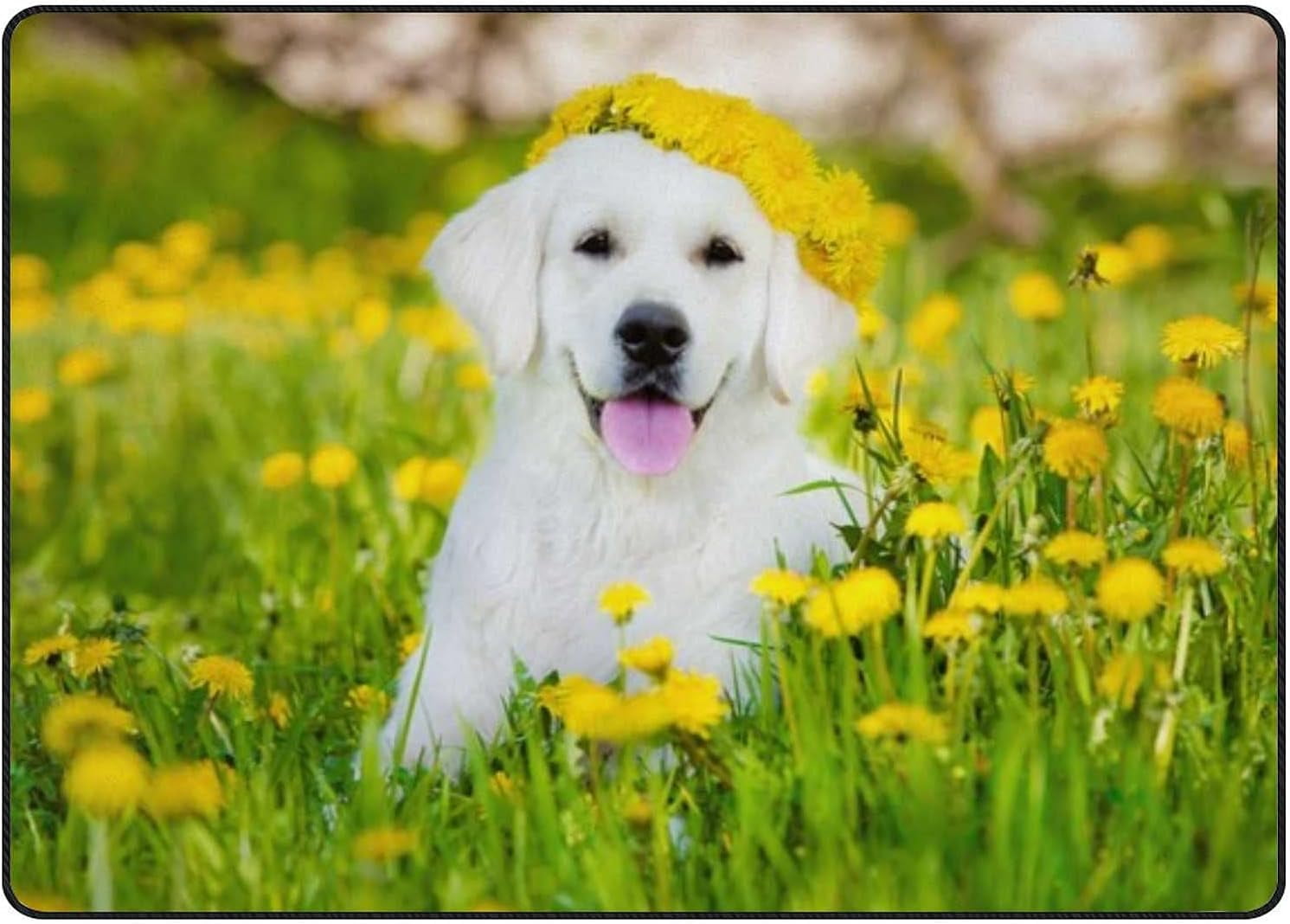 SKYSONIC Lightweight Soft Area Rugs Golden Retriever Dog Wear Flower ...
