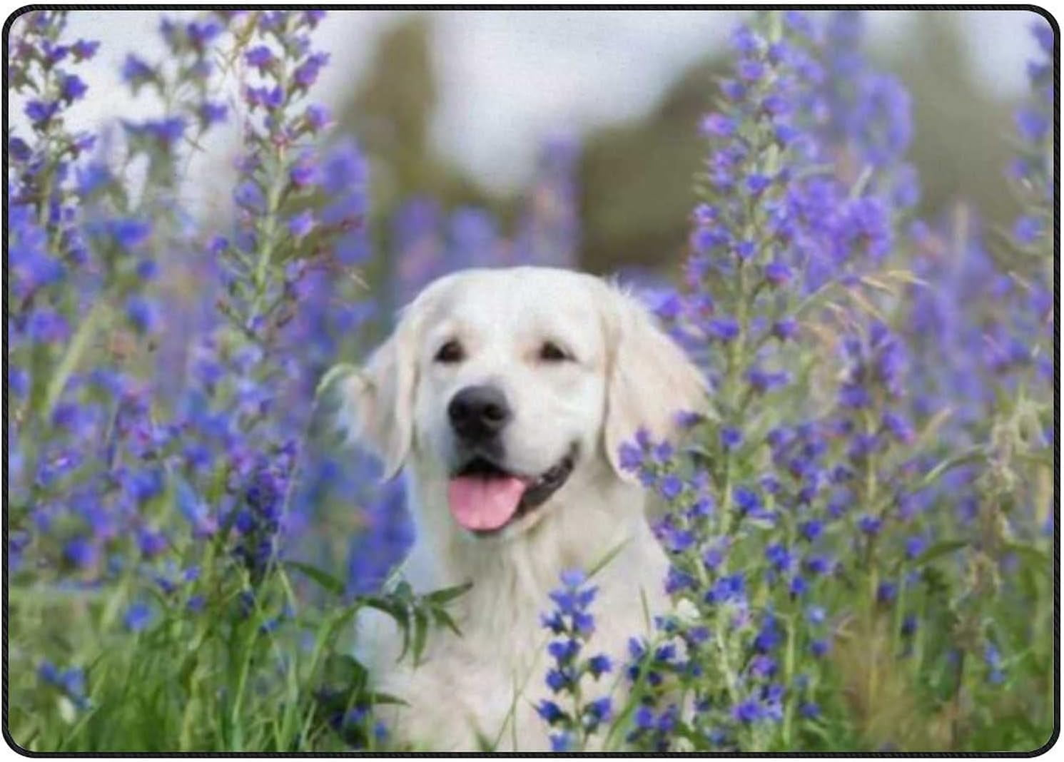 SKYSONIC Lightweight Soft Area Rugs Golden Retriever Dog on Flower ...