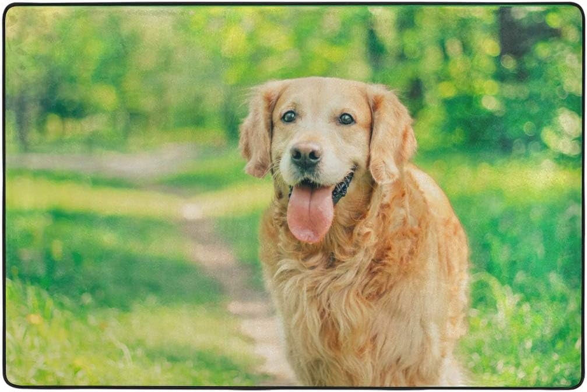 SKYSONIC Lightweight Soft Area Rugs Golden Retriever On Nature Floor ...
