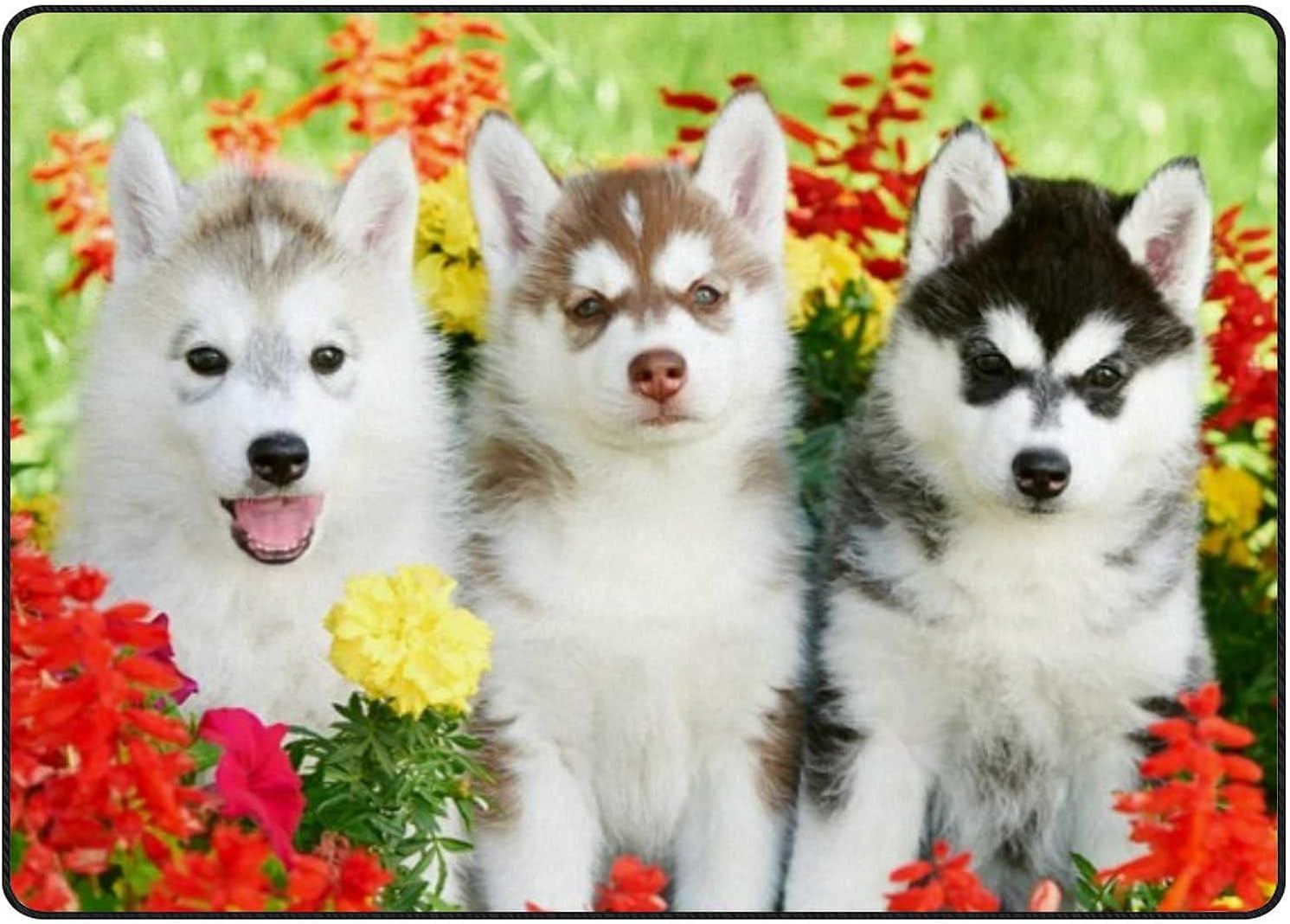 SKYSONIC Lightweight Soft Area Rugs Group of Siberian Husky Puppy Dogs ...