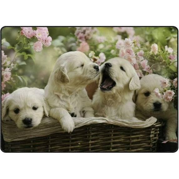 SKYSONIC Lightweight Soft Area Rugs Little Golden Retriever Puppies in ...