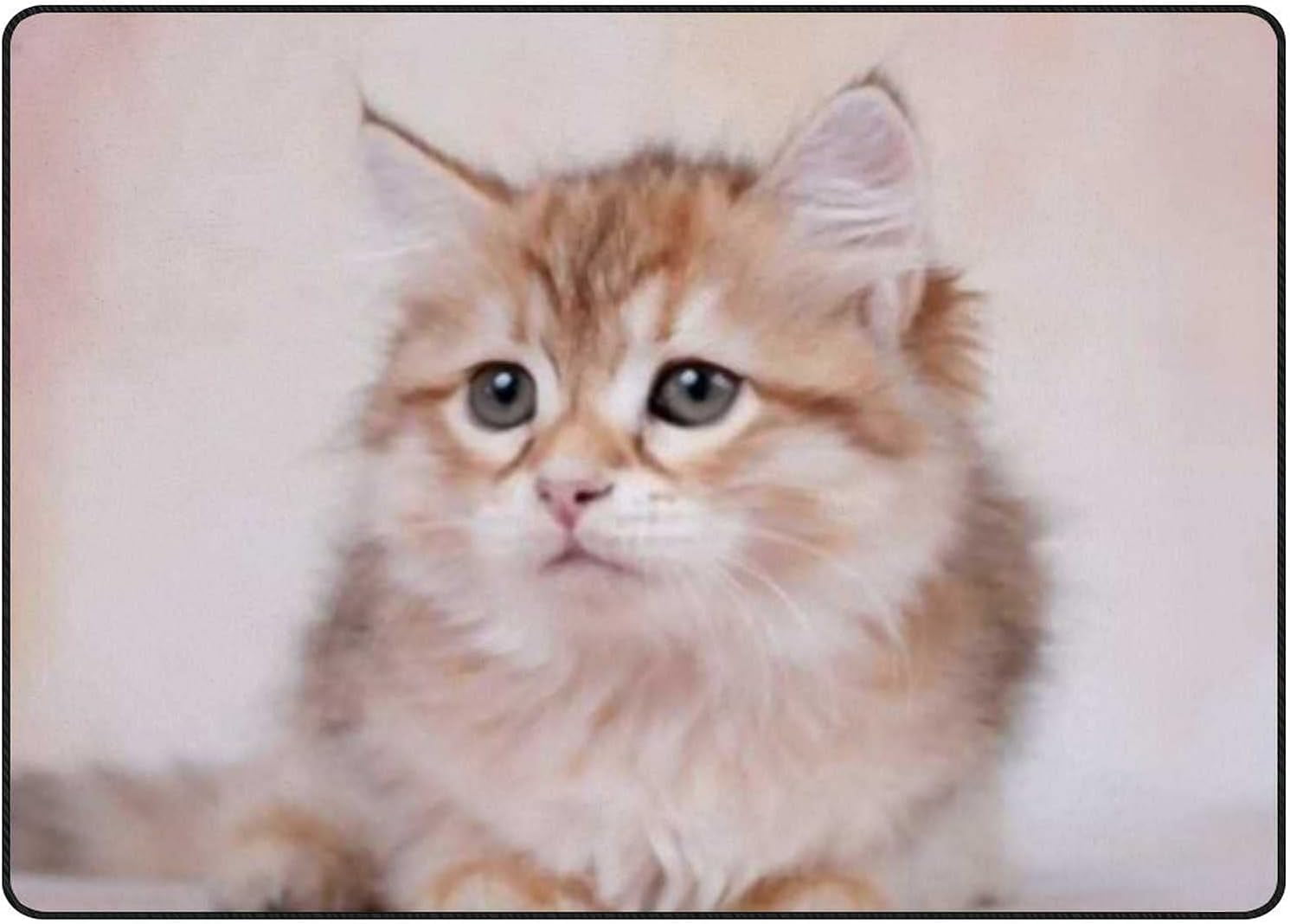 SKYSONIC Lightweight Soft Area Rugs Lying Siberian Kitten Floor Carpet ...