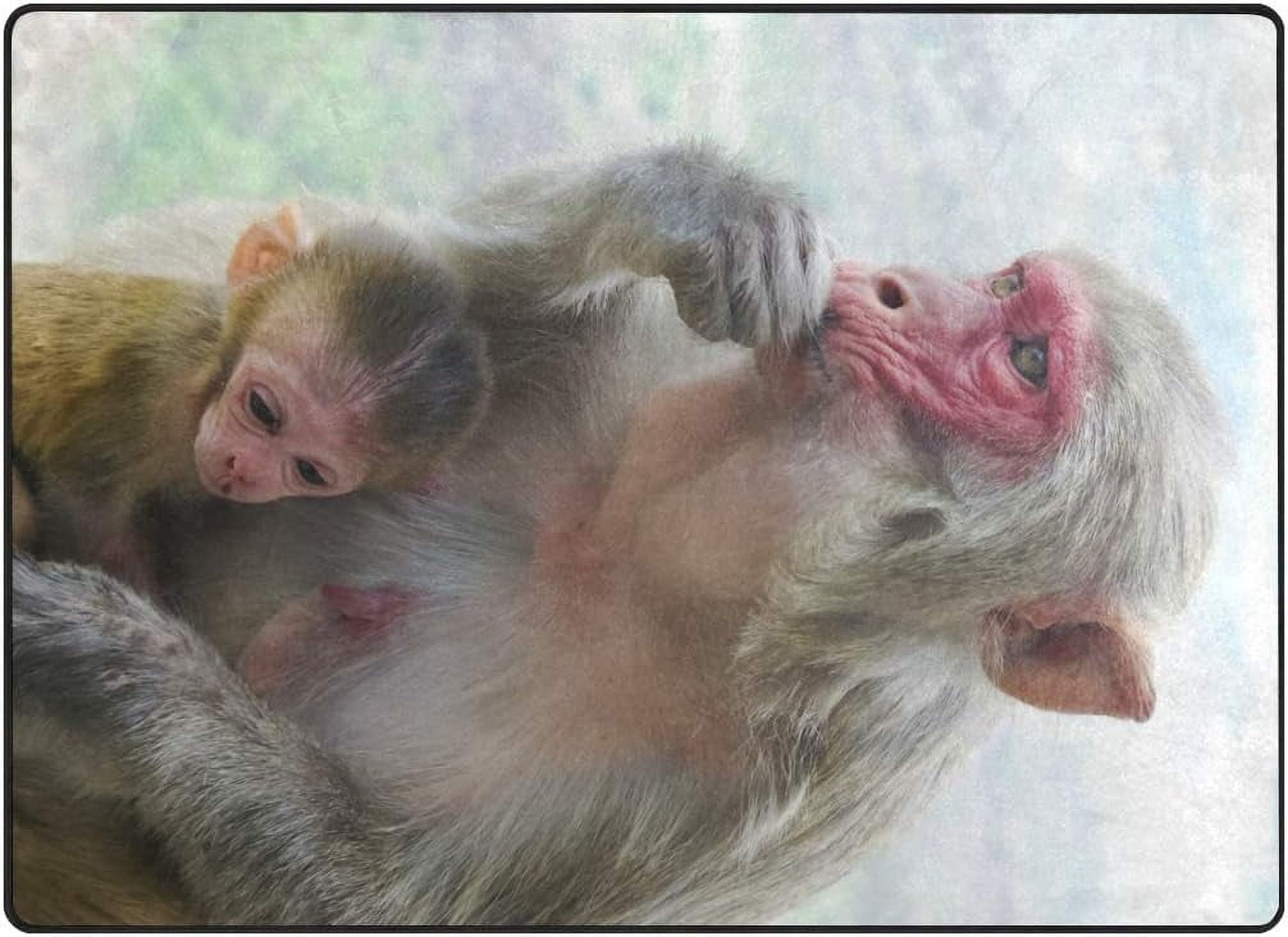 SKYSONIC Lightweight Soft Area Rugs Monkey Nursing Mother with Baby ...