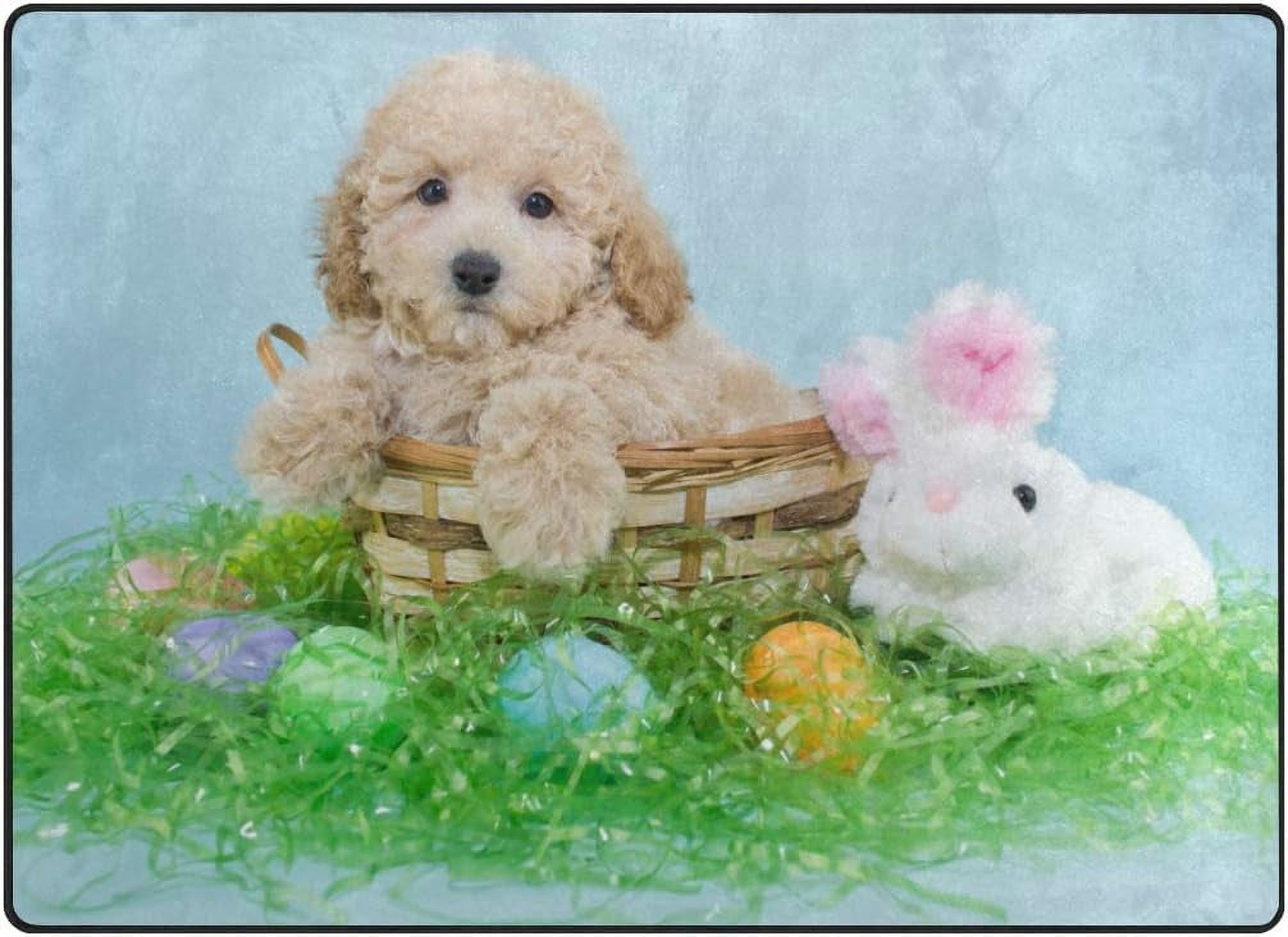 SKYSONIC Lightweight Soft Area Rugs Poodle Puppy Sitting Basket with ...