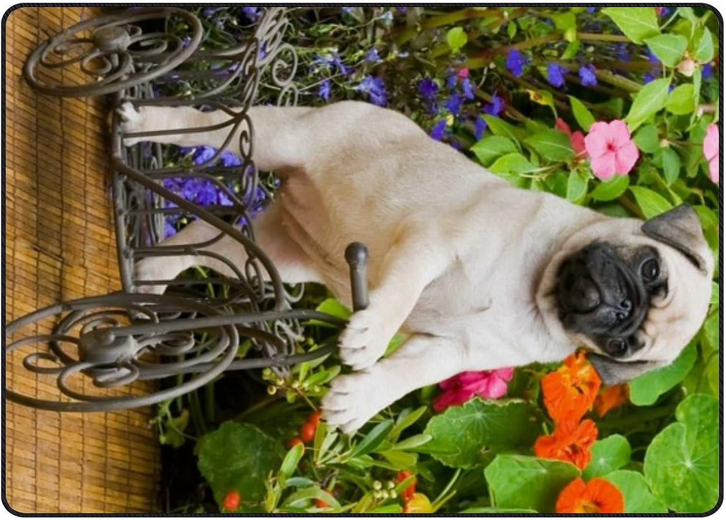 SKYSONIC Lightweight Soft Area Rugs Pug Puppy Riding Tricycle Floor Mat ...