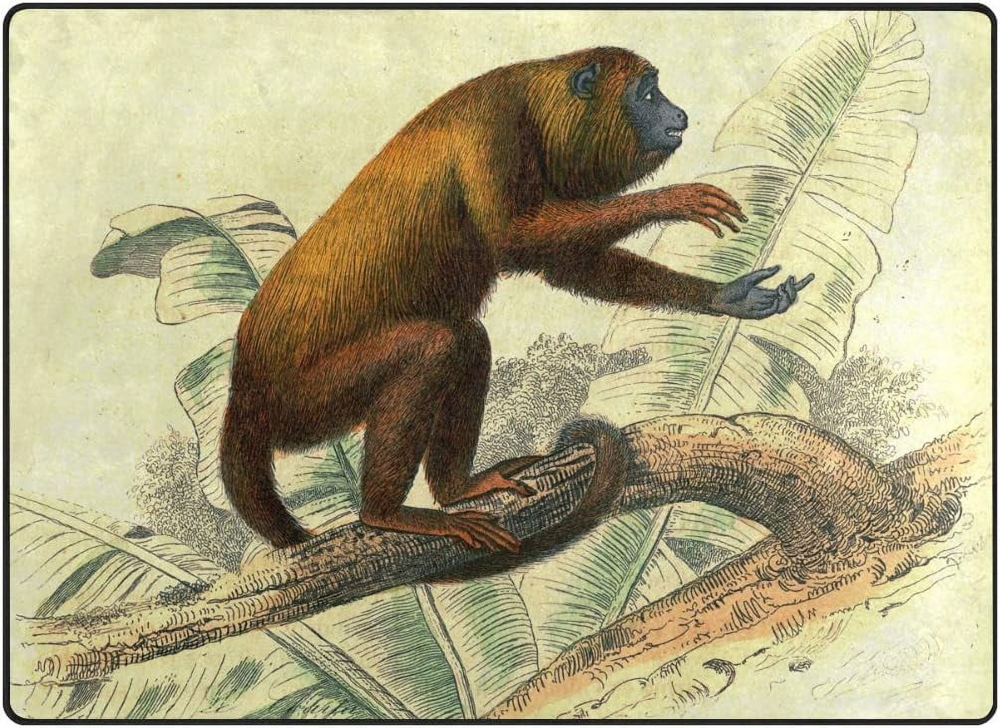 SKYSONIC Lightweight Soft Area Rugs Vintage Monkey Floor Mat for Kids ...